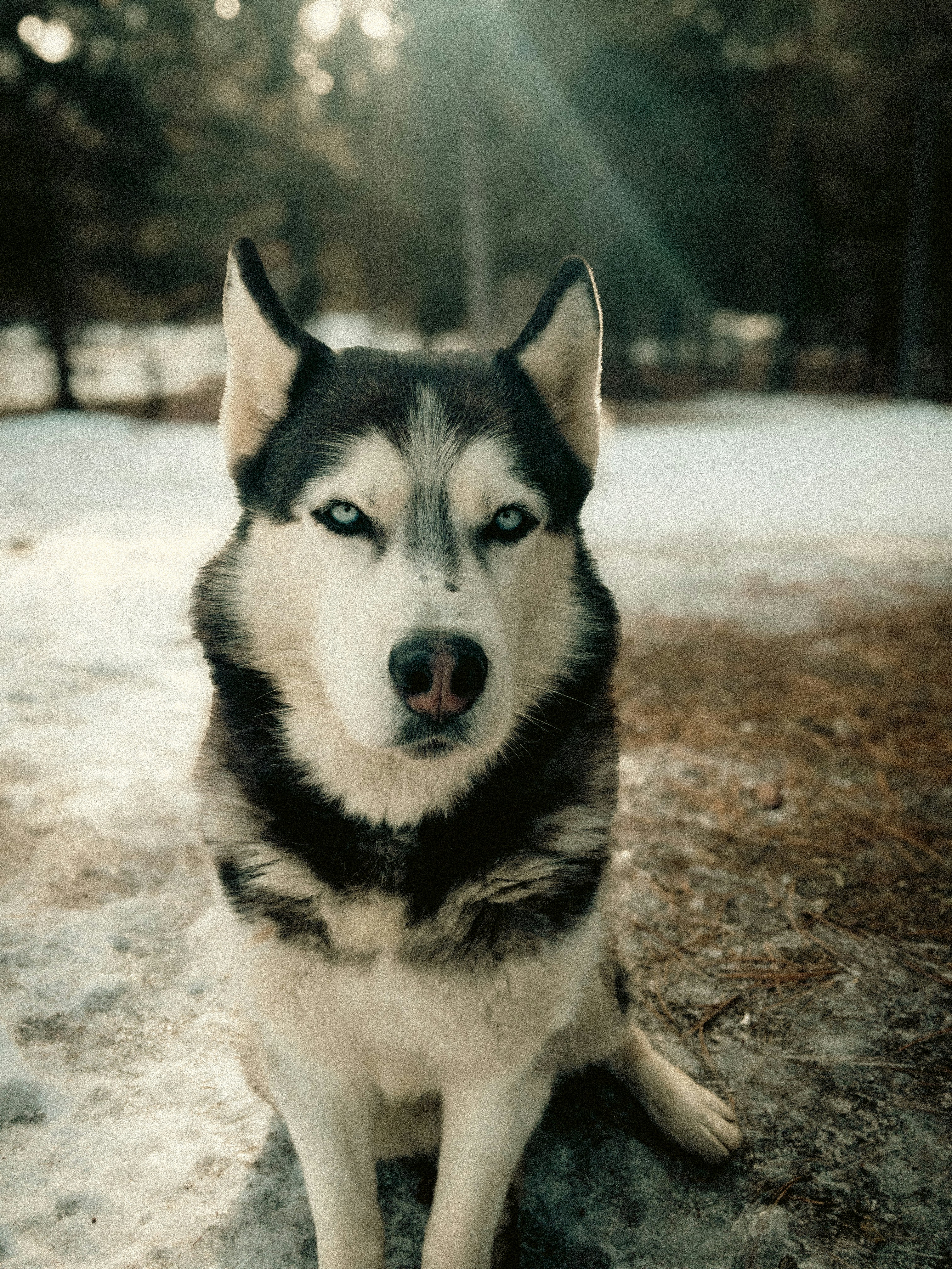 Luke Smith (@thelukesmith_) | Unsplash 사진 커뮤니티