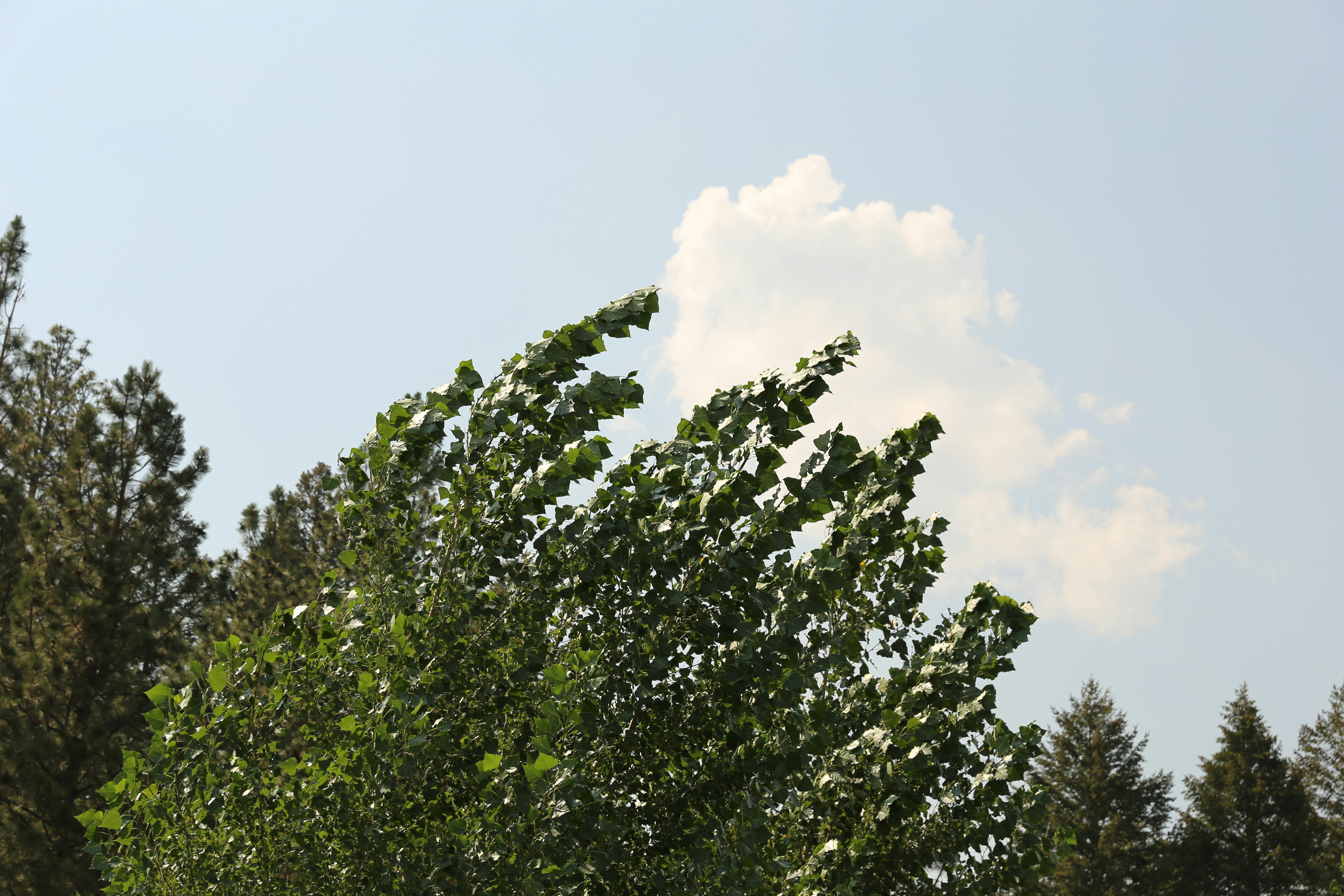 Luke Smith (@thelukesmith_) | Unsplash 사진 커뮤니티