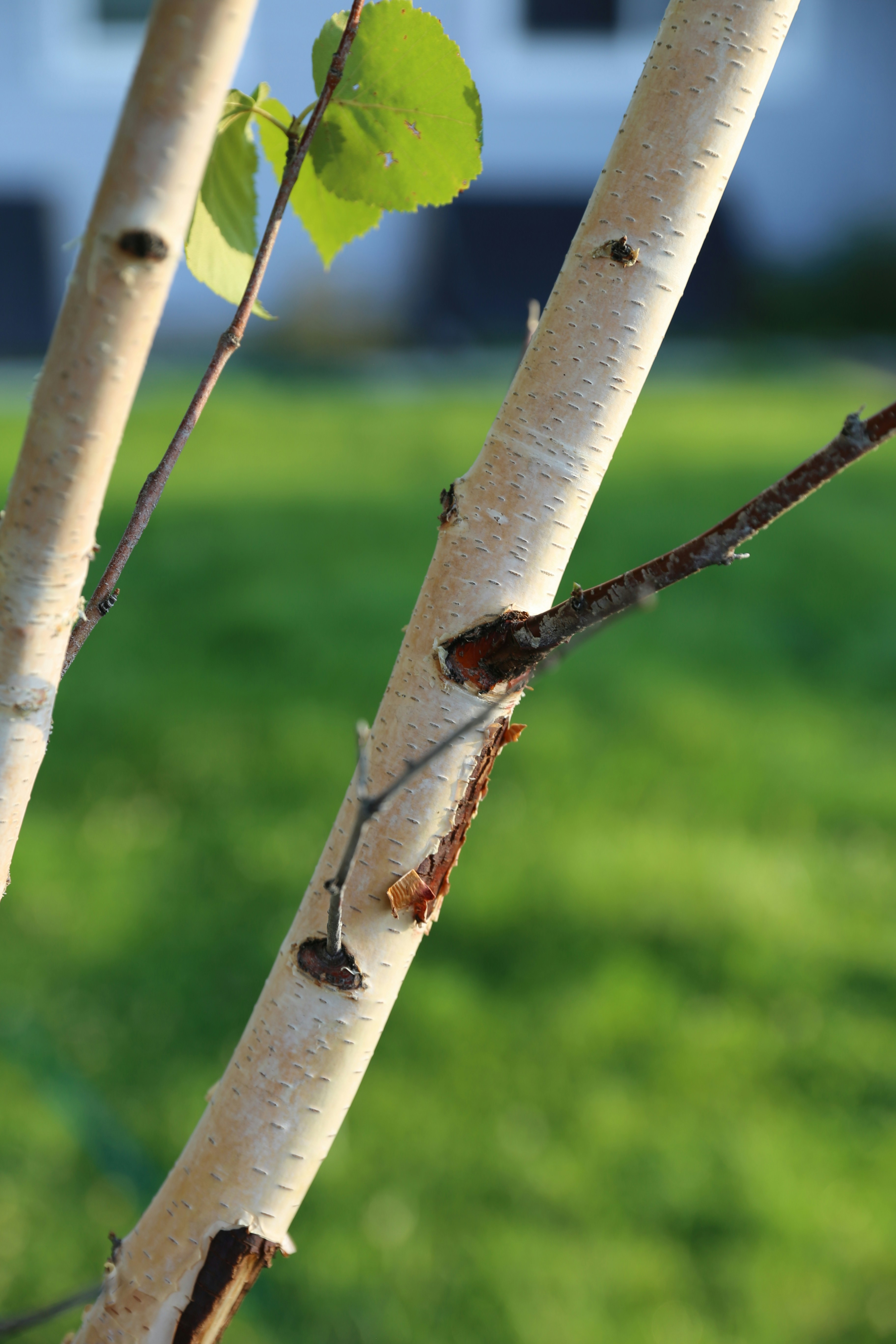 Luke Smith (@thelukesmith_) | Unsplash 사진 커뮤니티