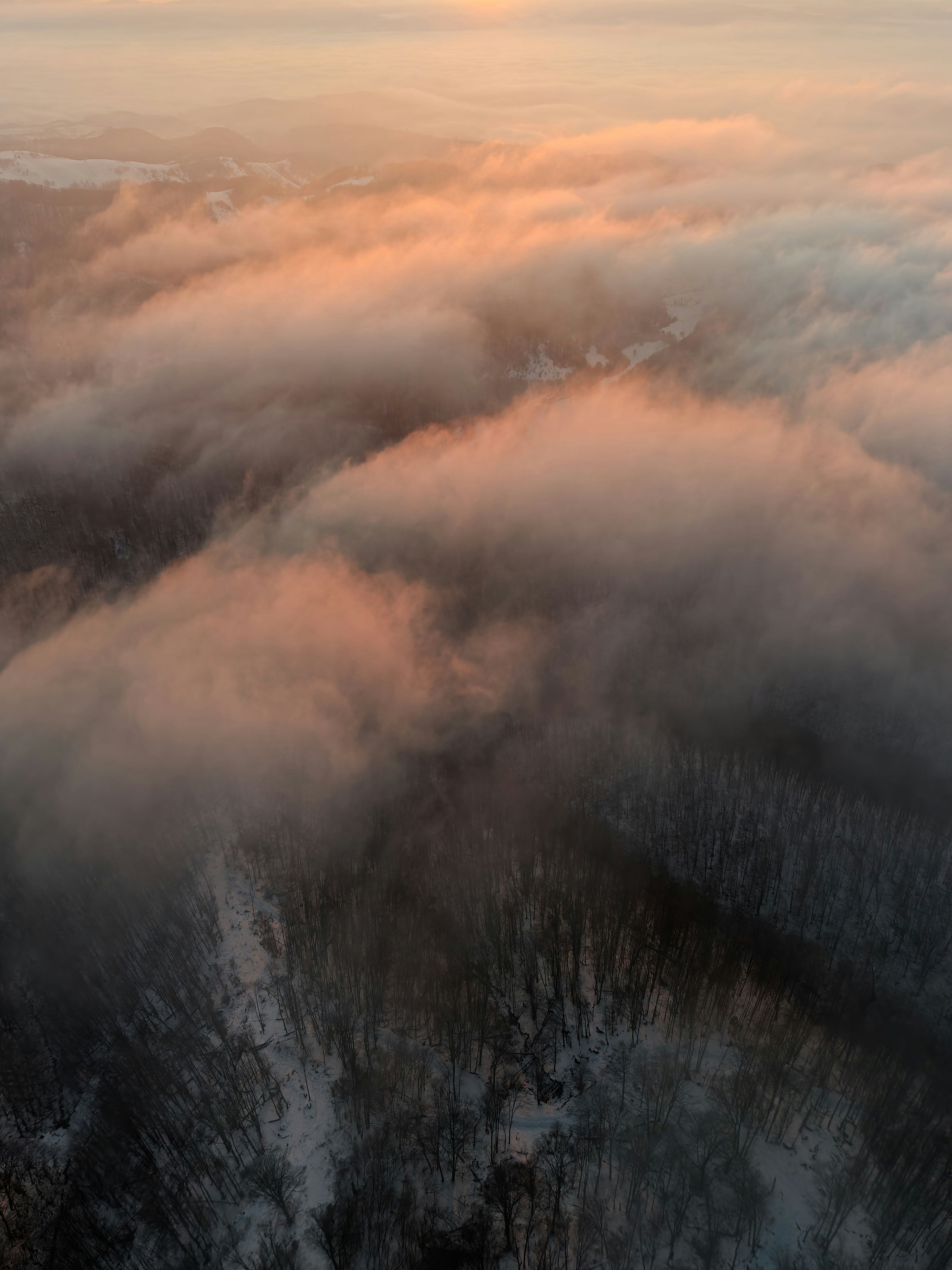Sunrise over a misty forest canopy