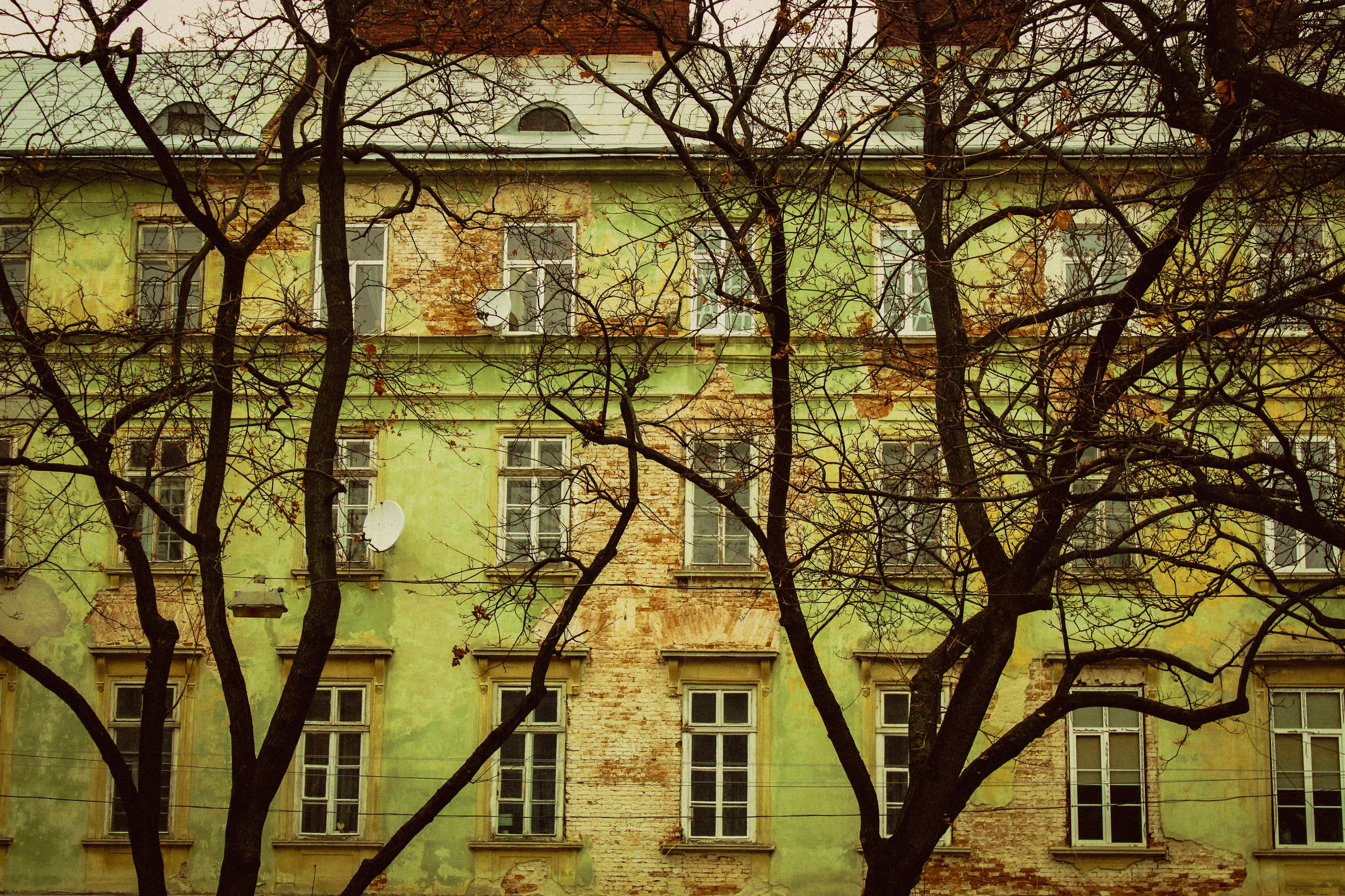 Bare tree branches in front of a weathered green building photo – Free ...
