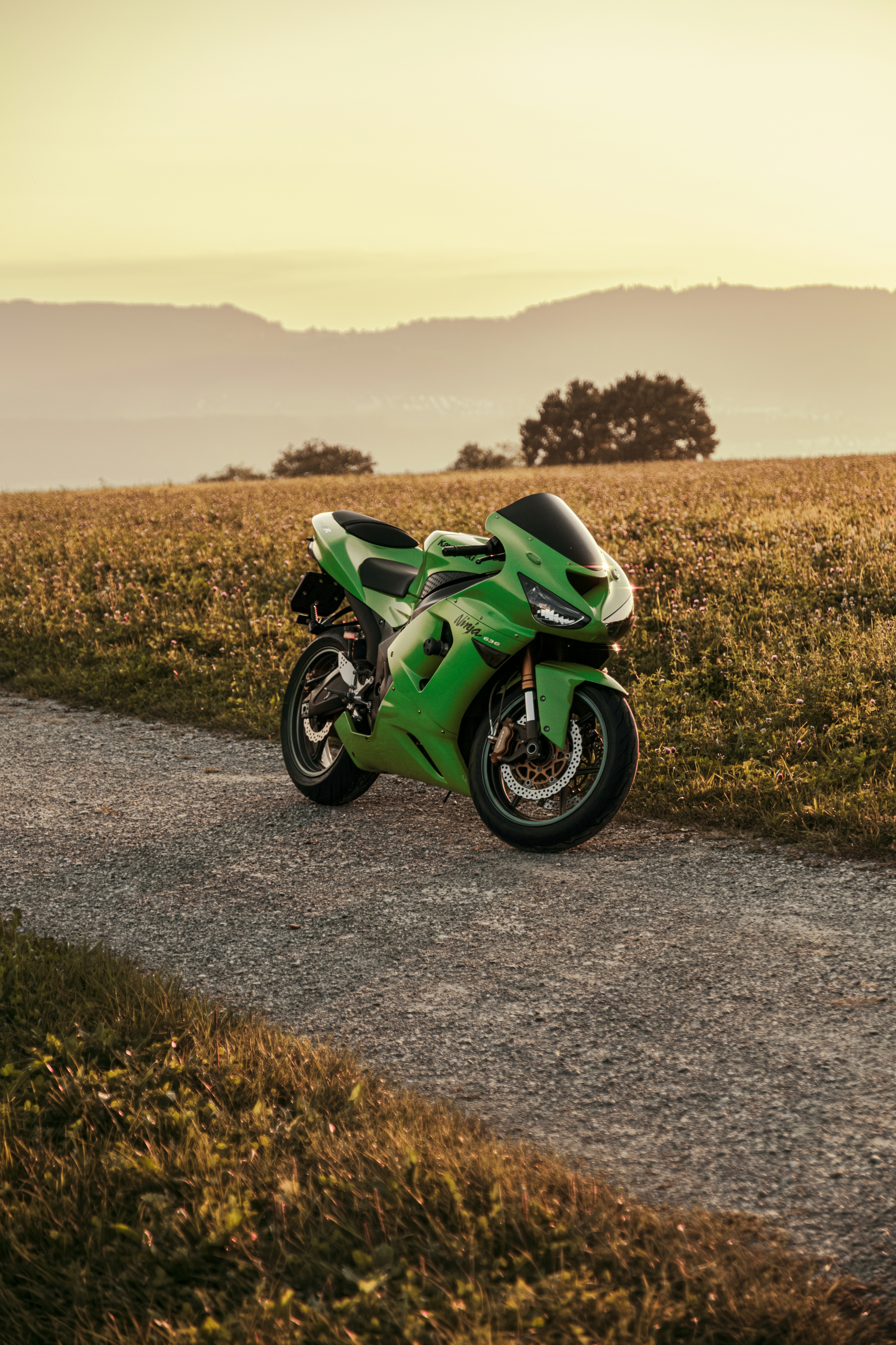 Emerald Rider on an Autumn Road