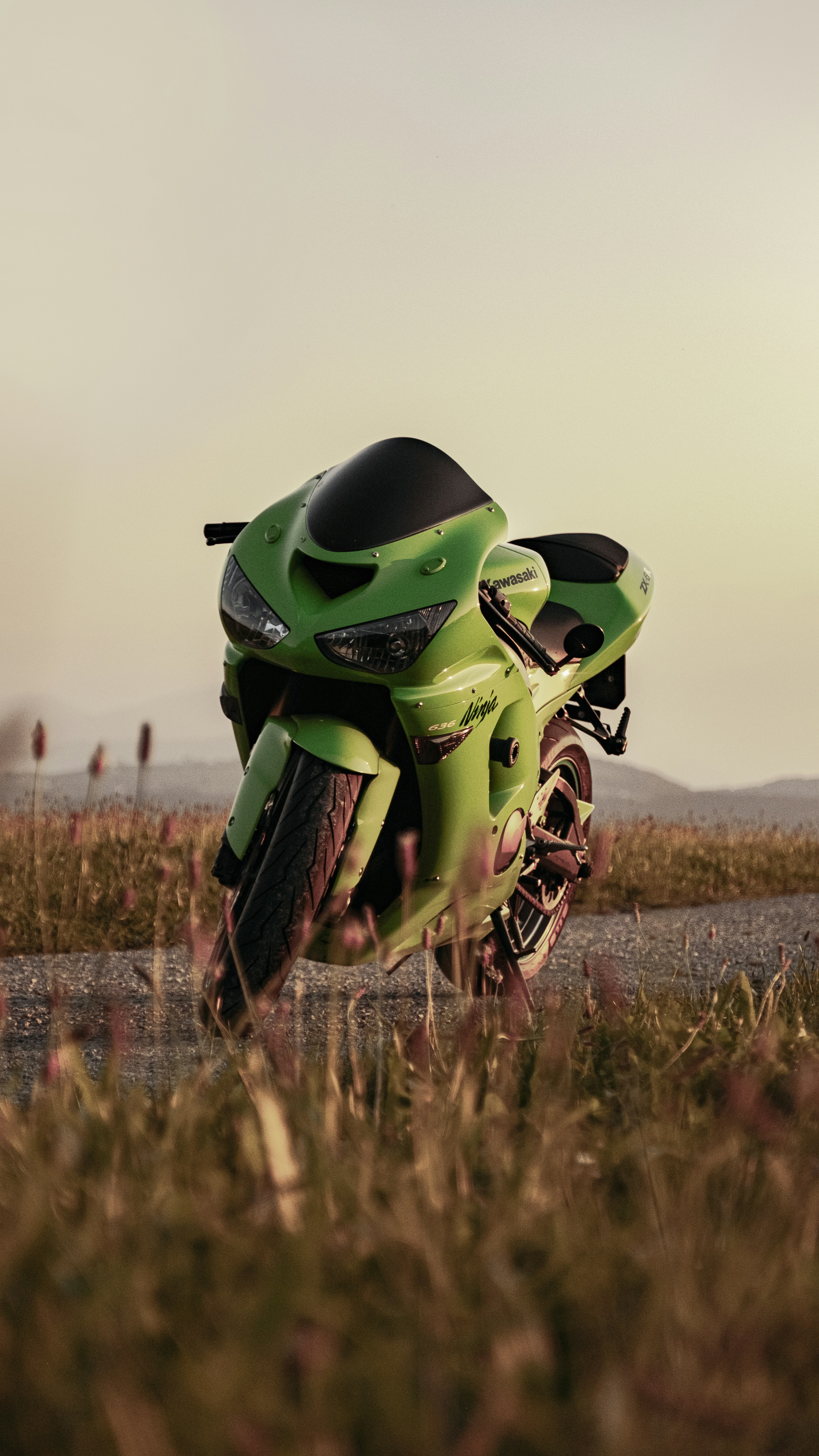 Emerald Blur: a Kawasaki Ninja rests on a sunlit country road