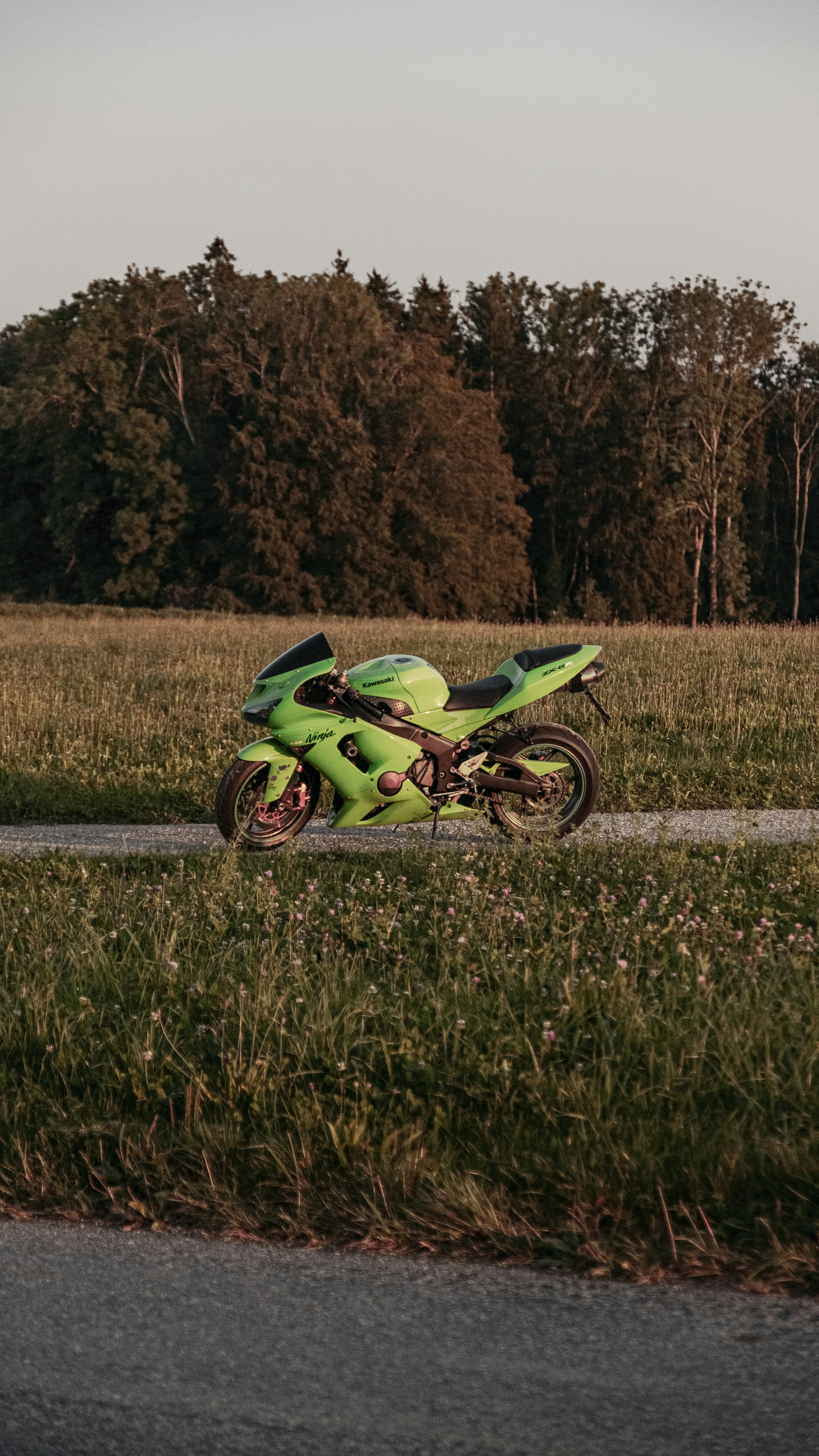 Green Ghost on the Country Road