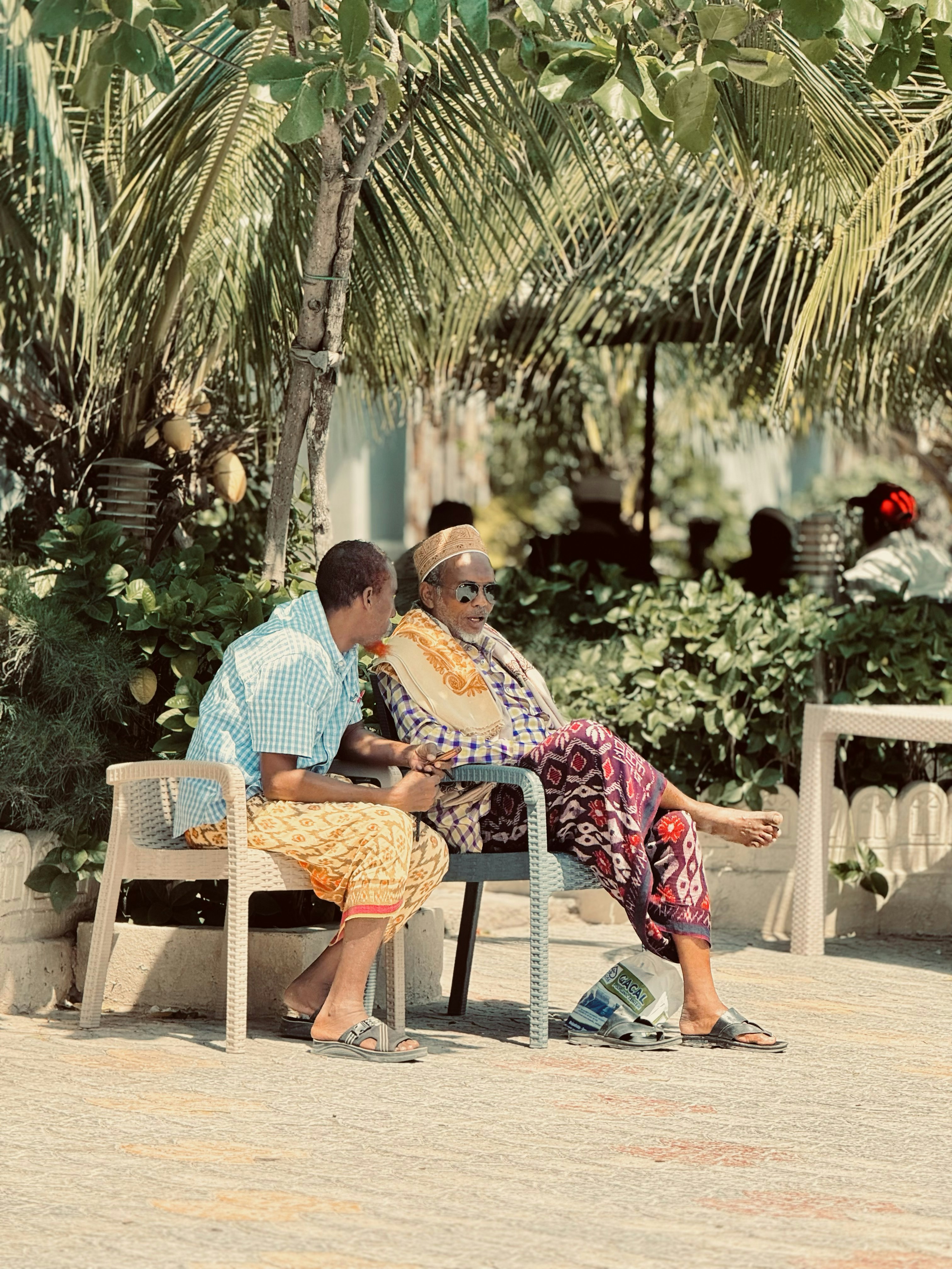 Sunlit Chat Under the Palm Canopy