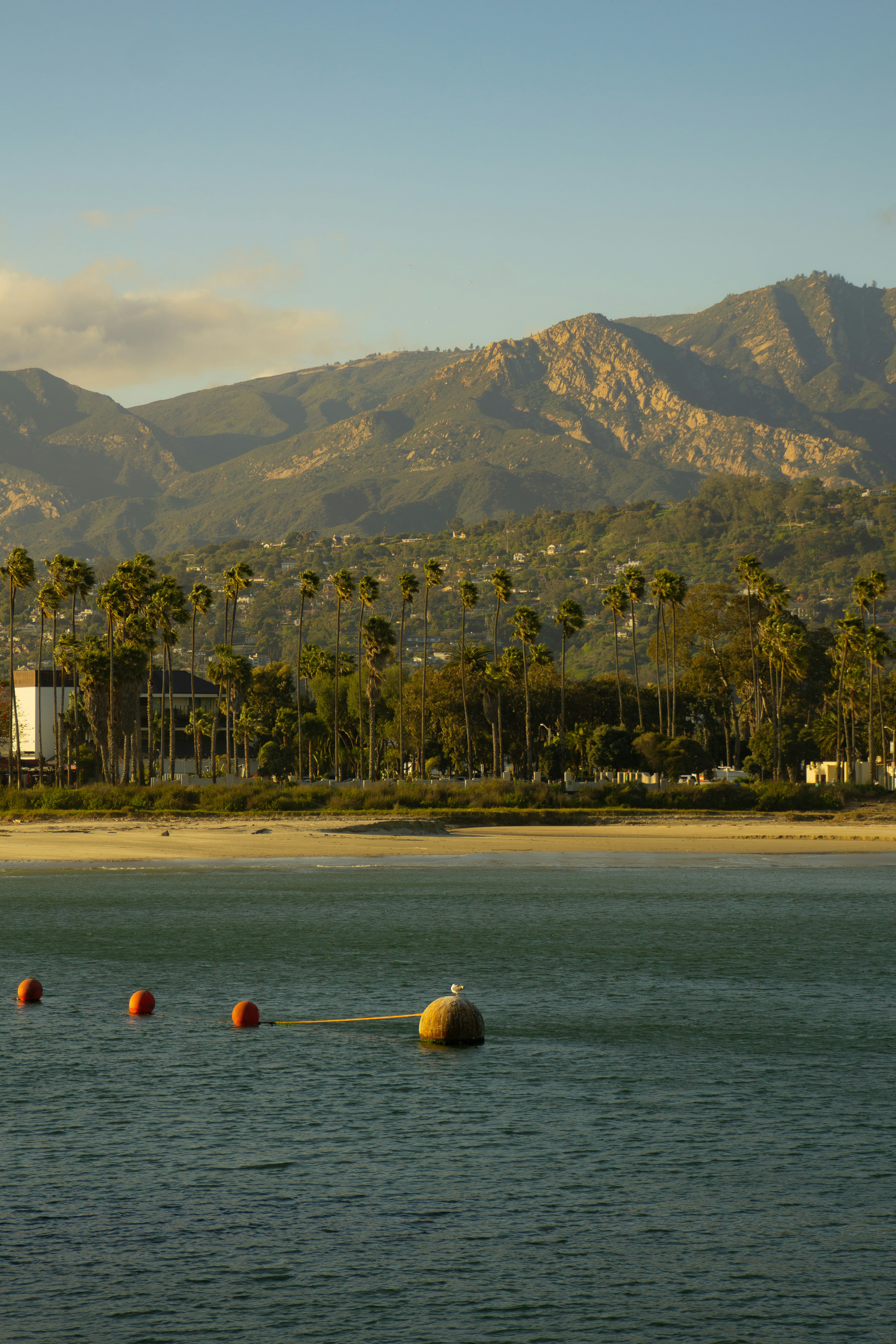 Coastal Farmlands Beneath Sierra Silhouettes