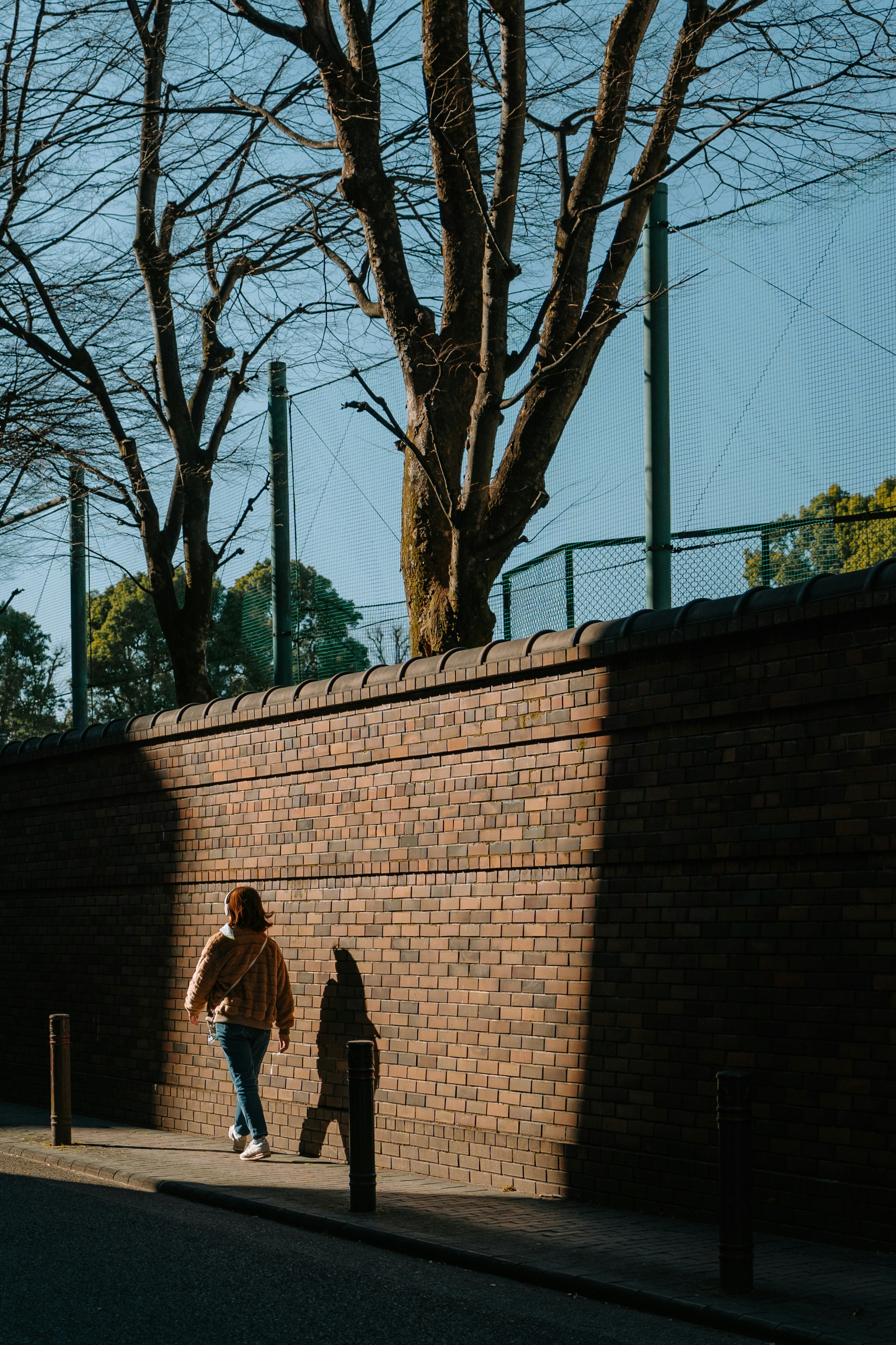 A person walks along a brick wall in sunlight. photo – Free Trees Image ...