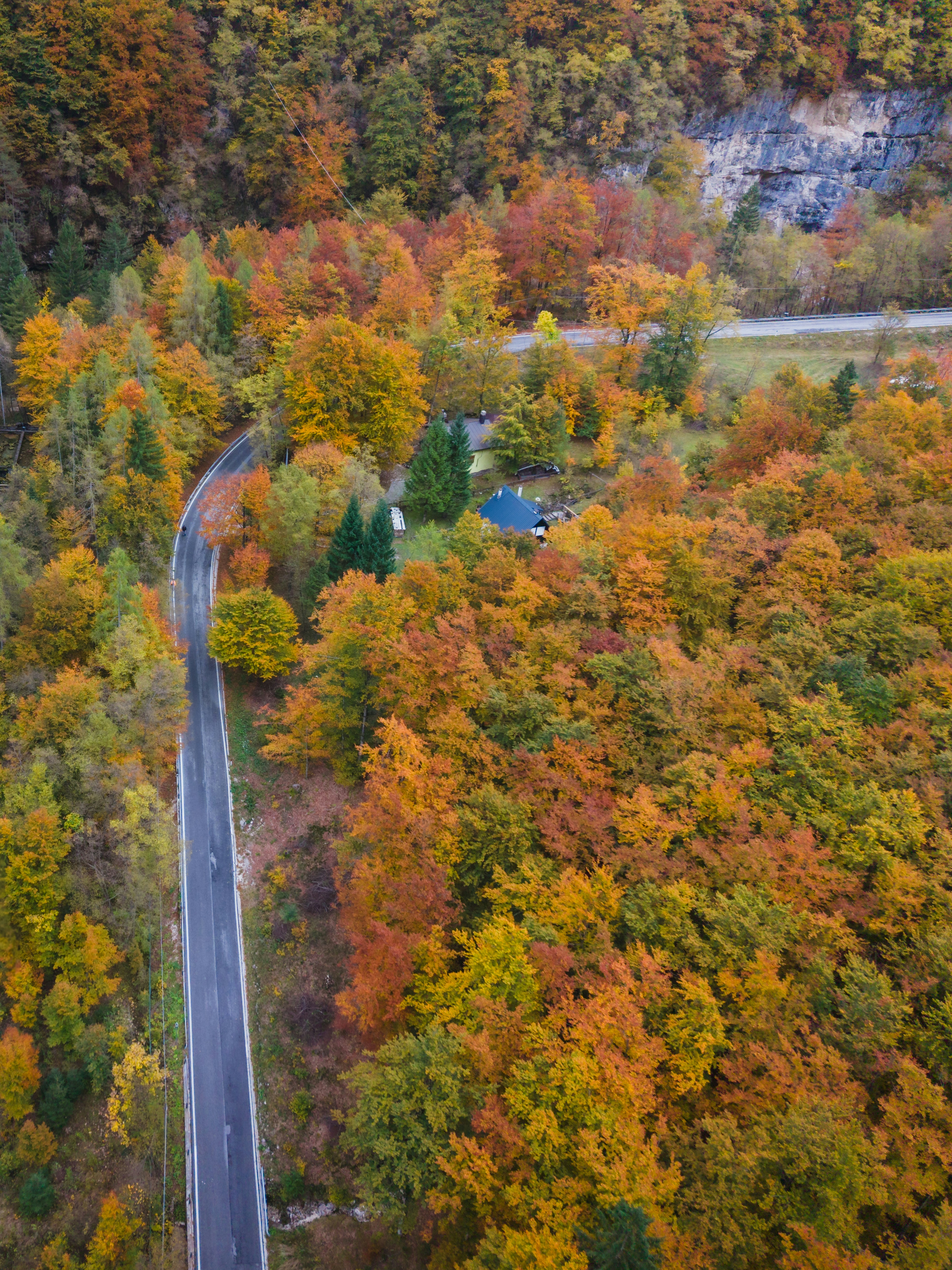 Autumn Ribbon: A Quiet Forest Road Winding Through Fall Colors