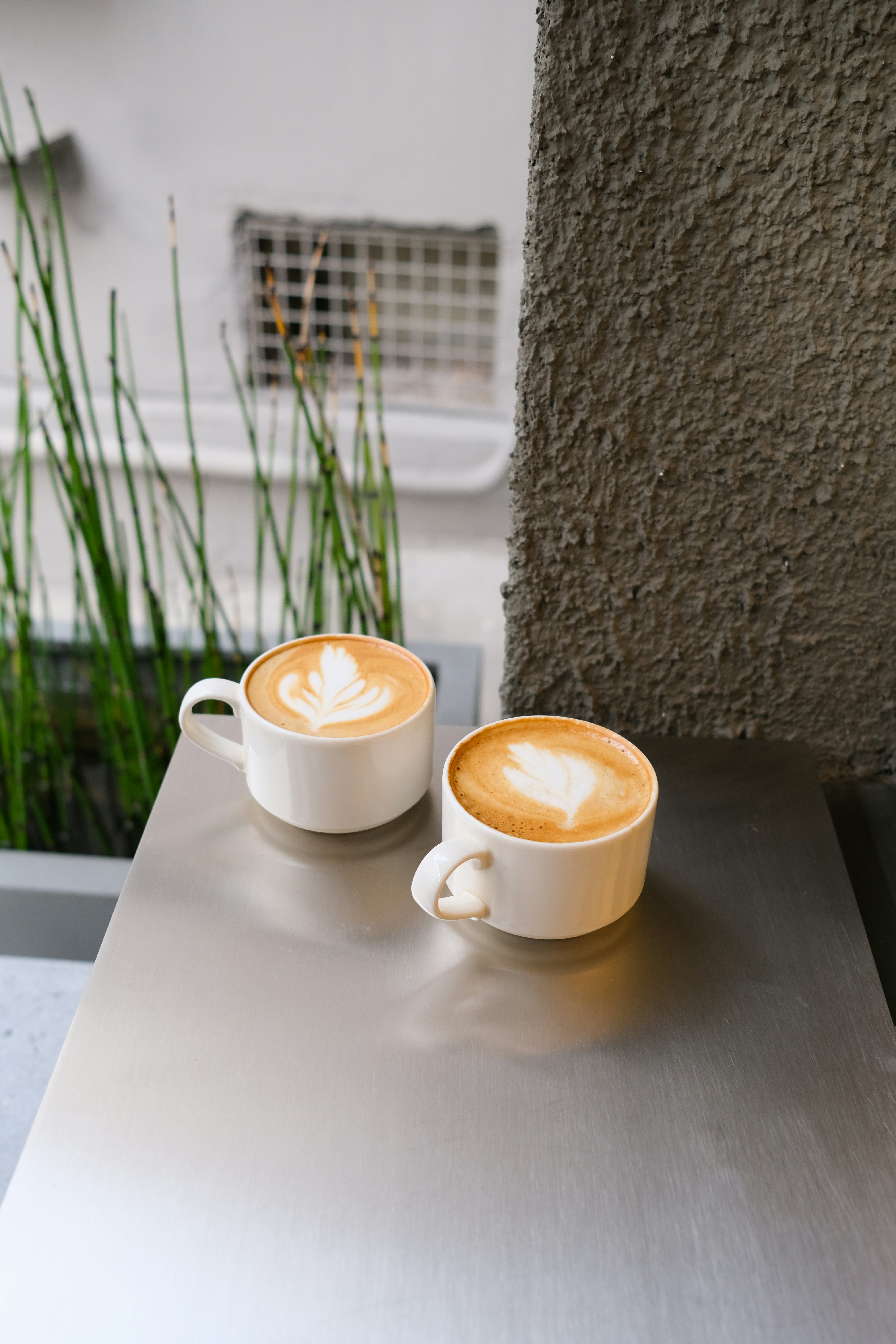 Two Cups of Craft in Sunrise Light