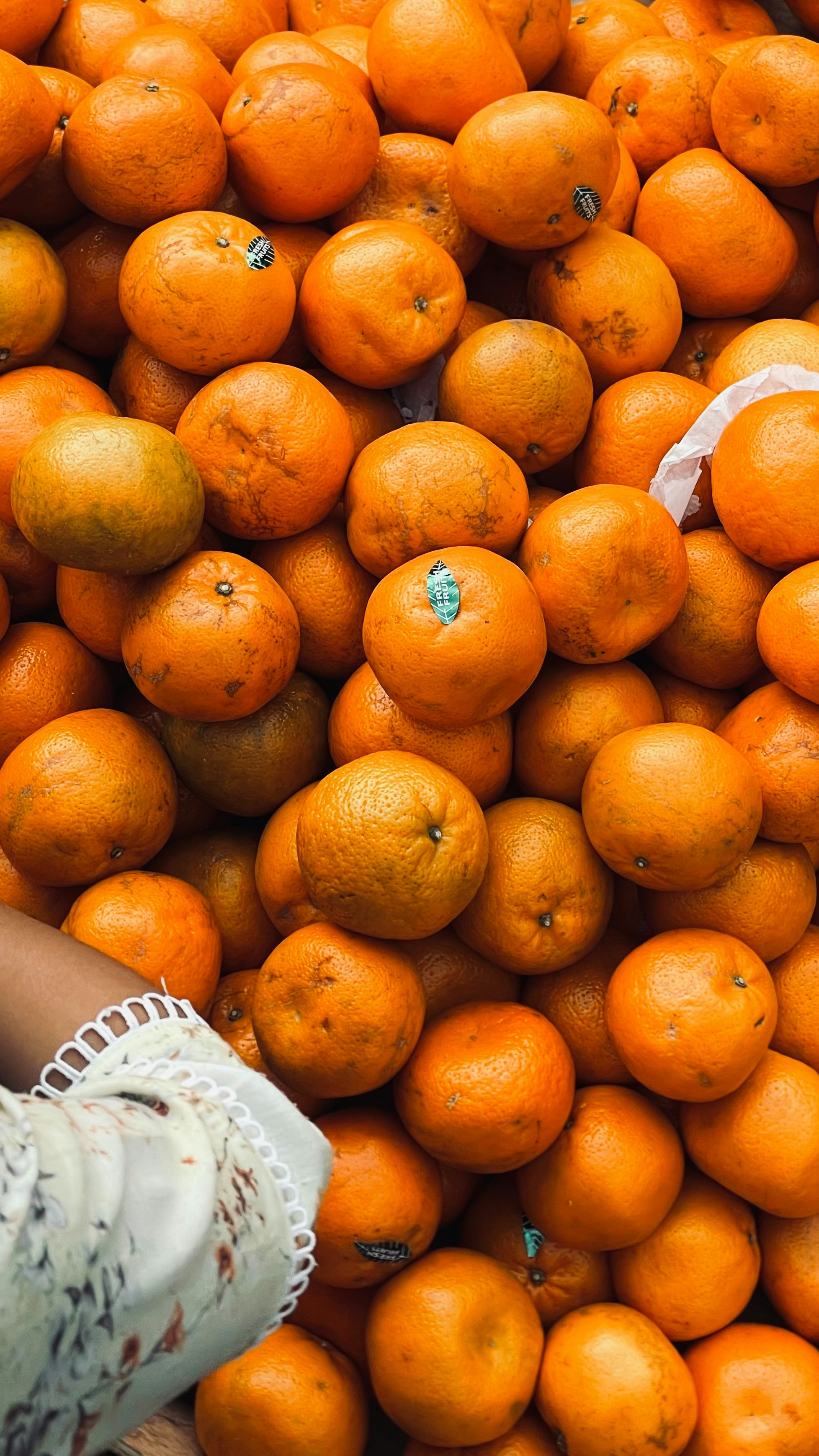 Orange Sea: A Dense Palette of Citrus