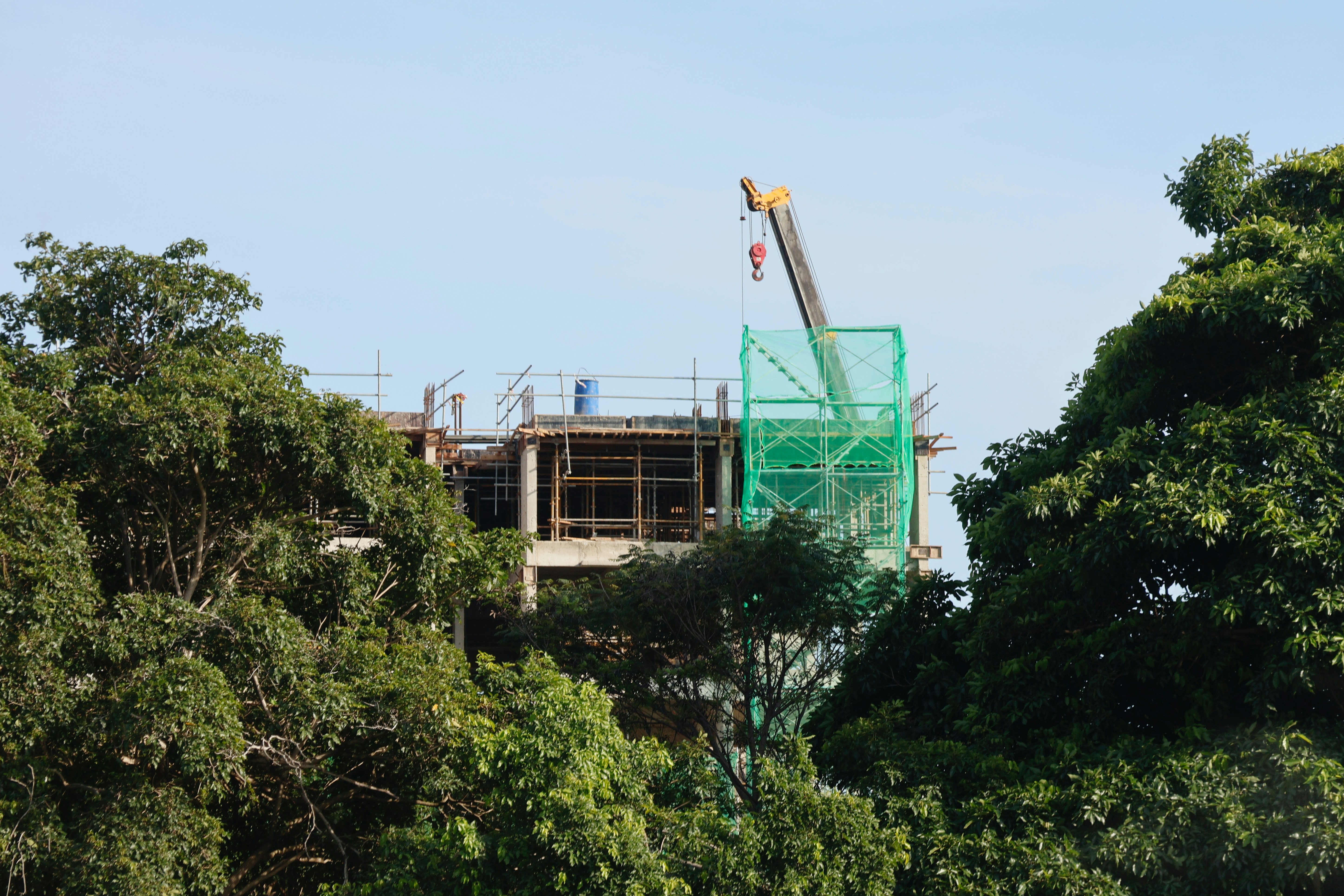Rising Frame: Construction Crane Above Green Netting Amid Forest Canopy