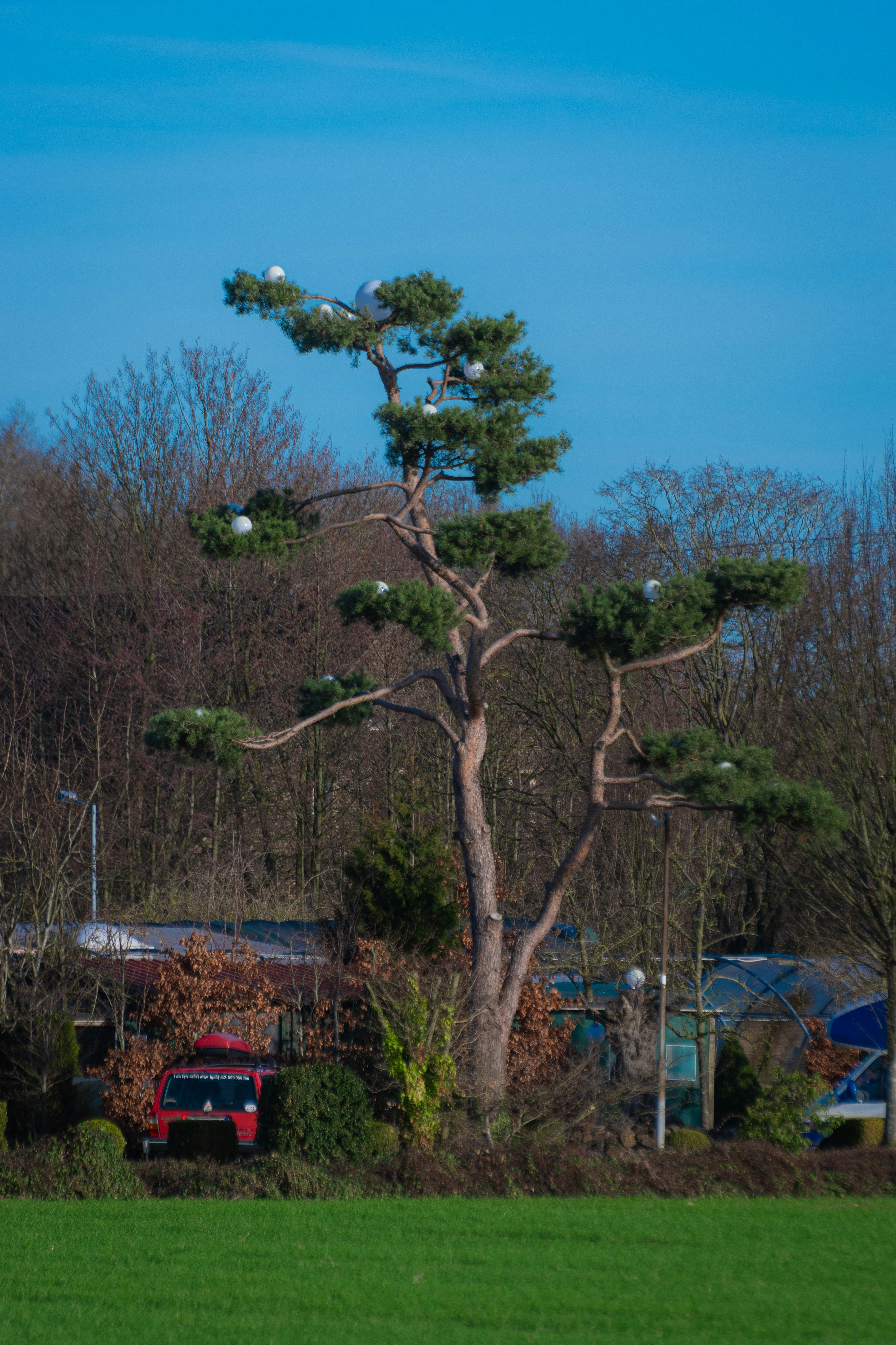 Lone stylized pine against a quiet riverside scene
