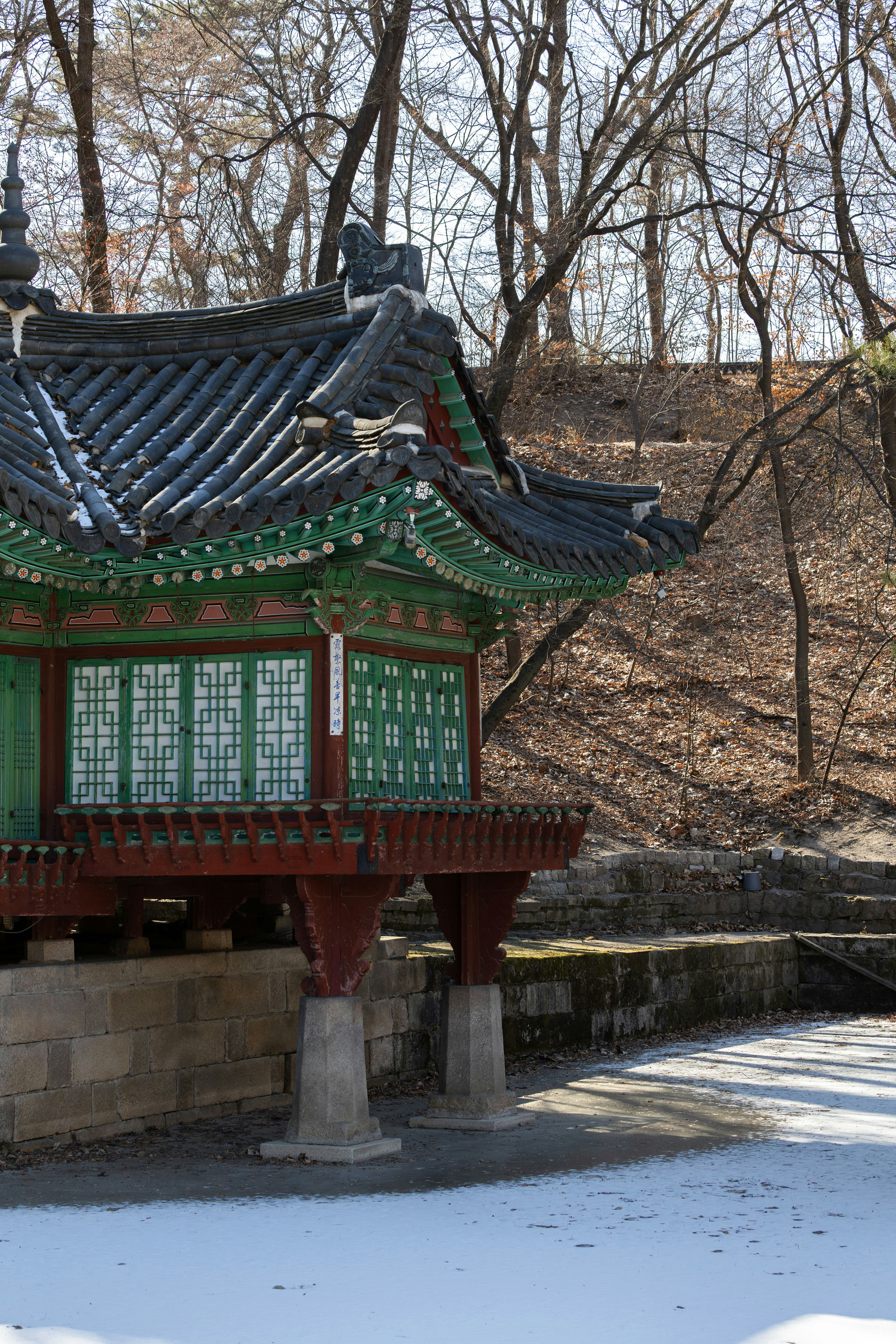 Green-Trimmed Pavilion Among Winter Trees