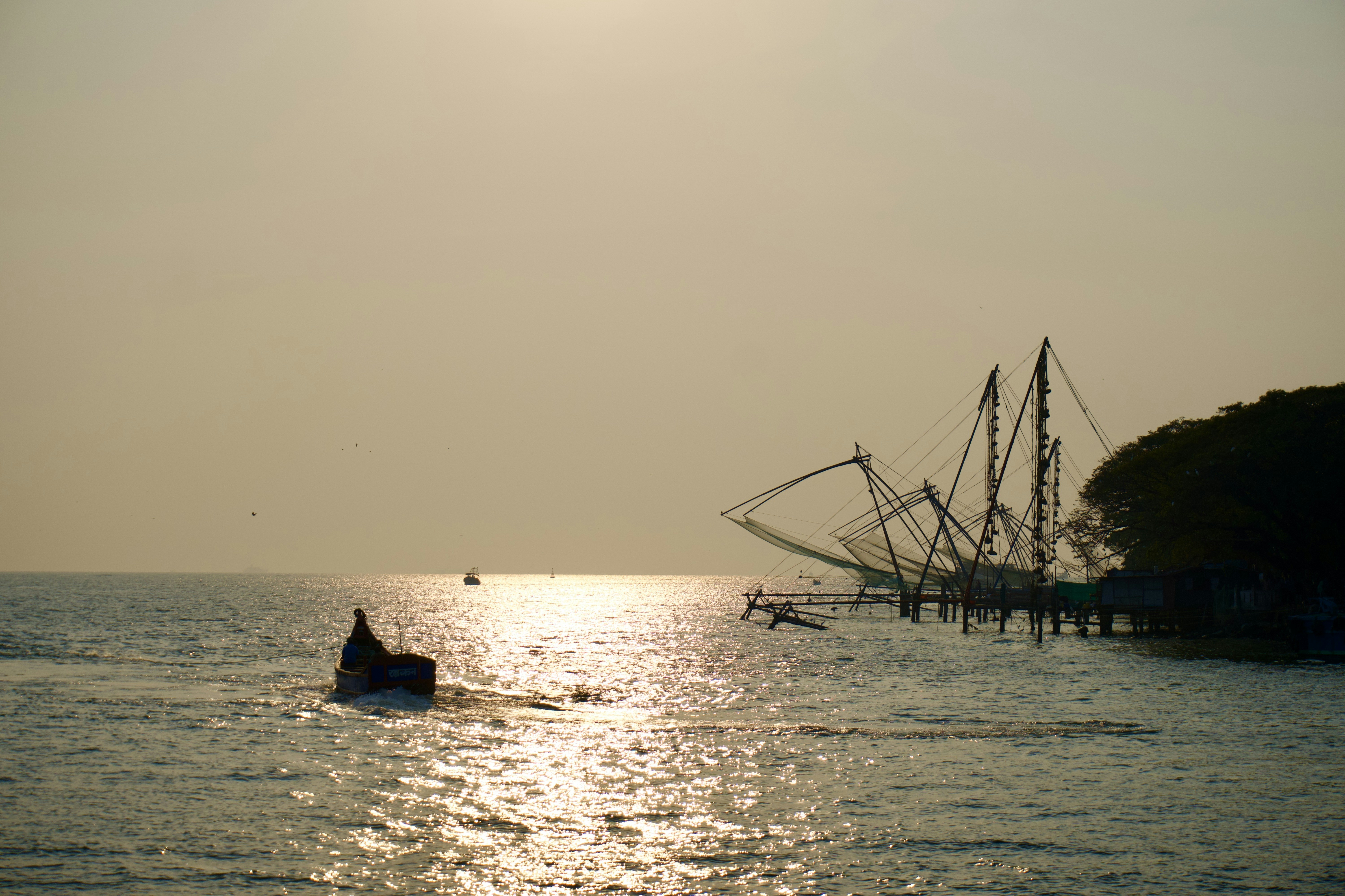 Silhouetted fisherman and shoreline timbers at golden hour