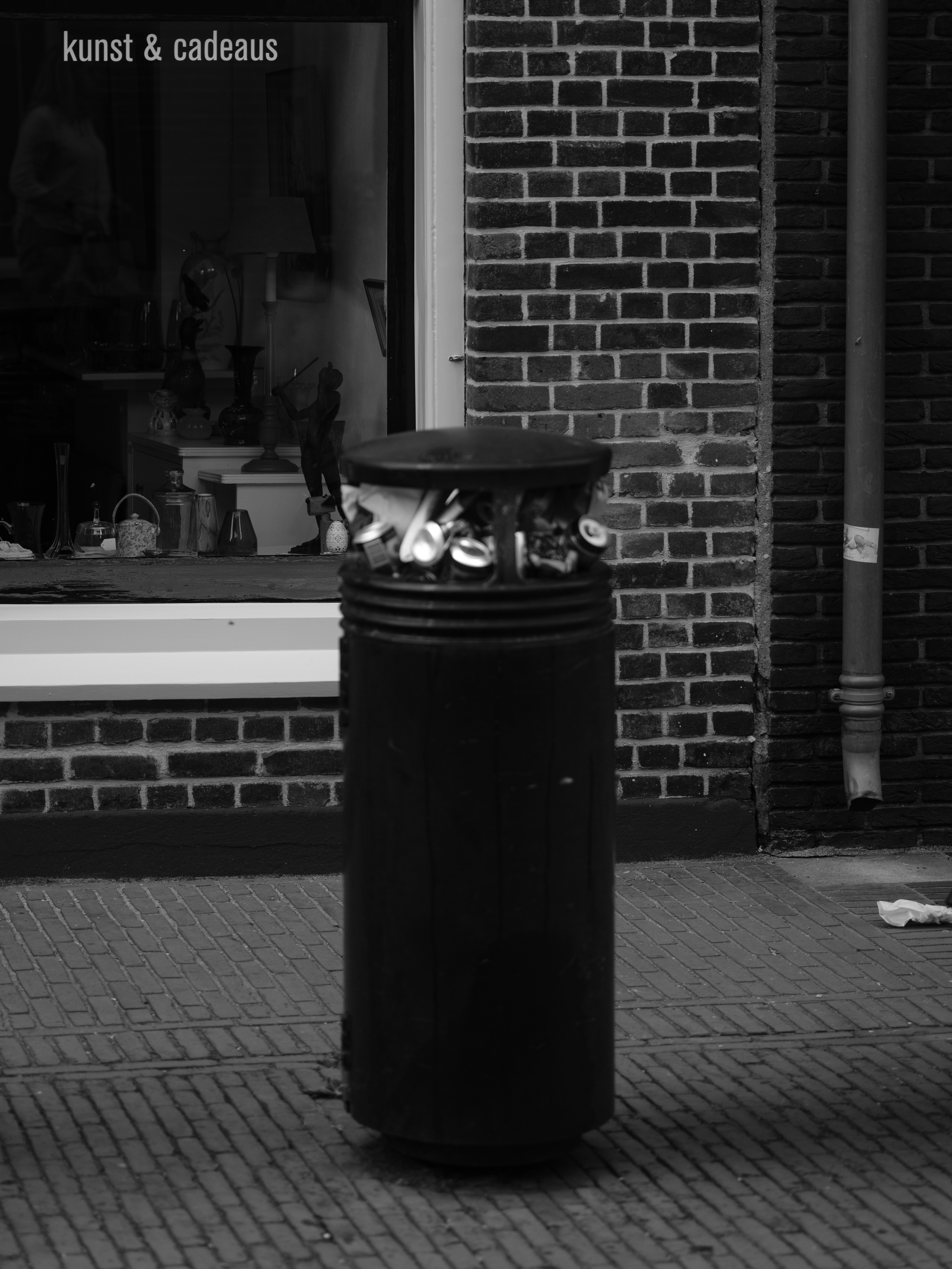 Trashcan Standoff in Silence