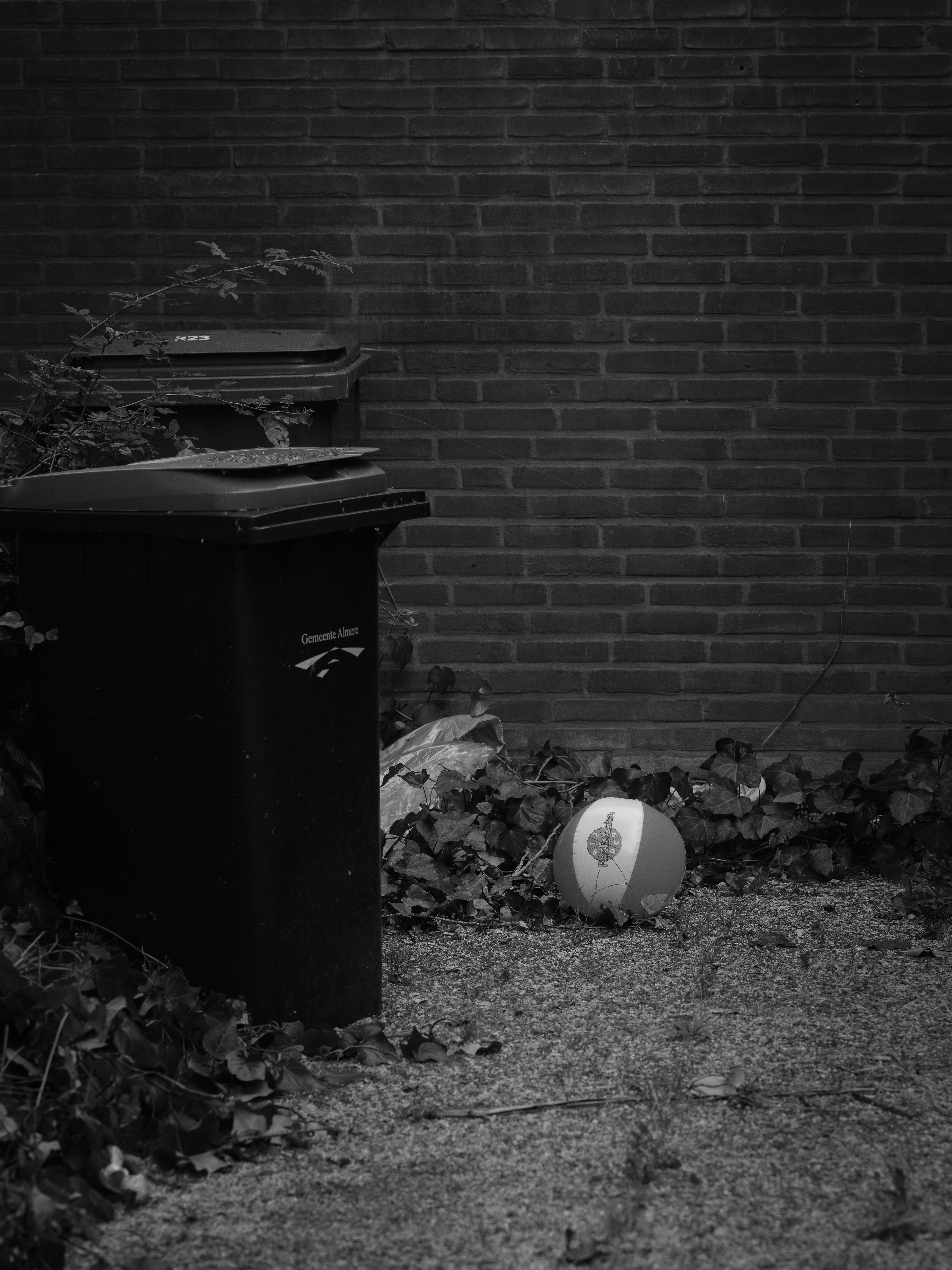 Moonlit Alley: A Quiet Night by the Trash Bin