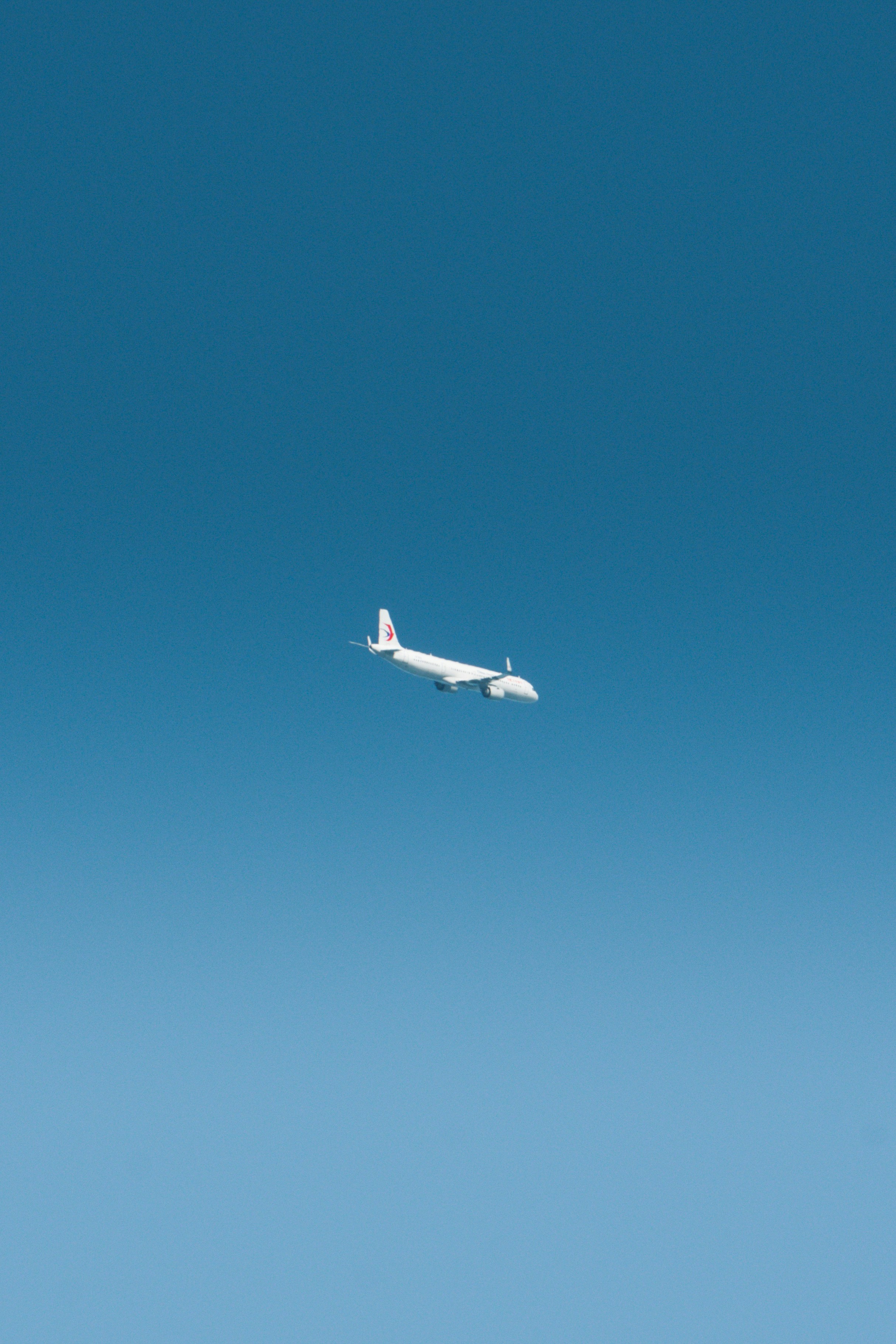 Skybound Carrier: A solo jet traces a clear blue expanse