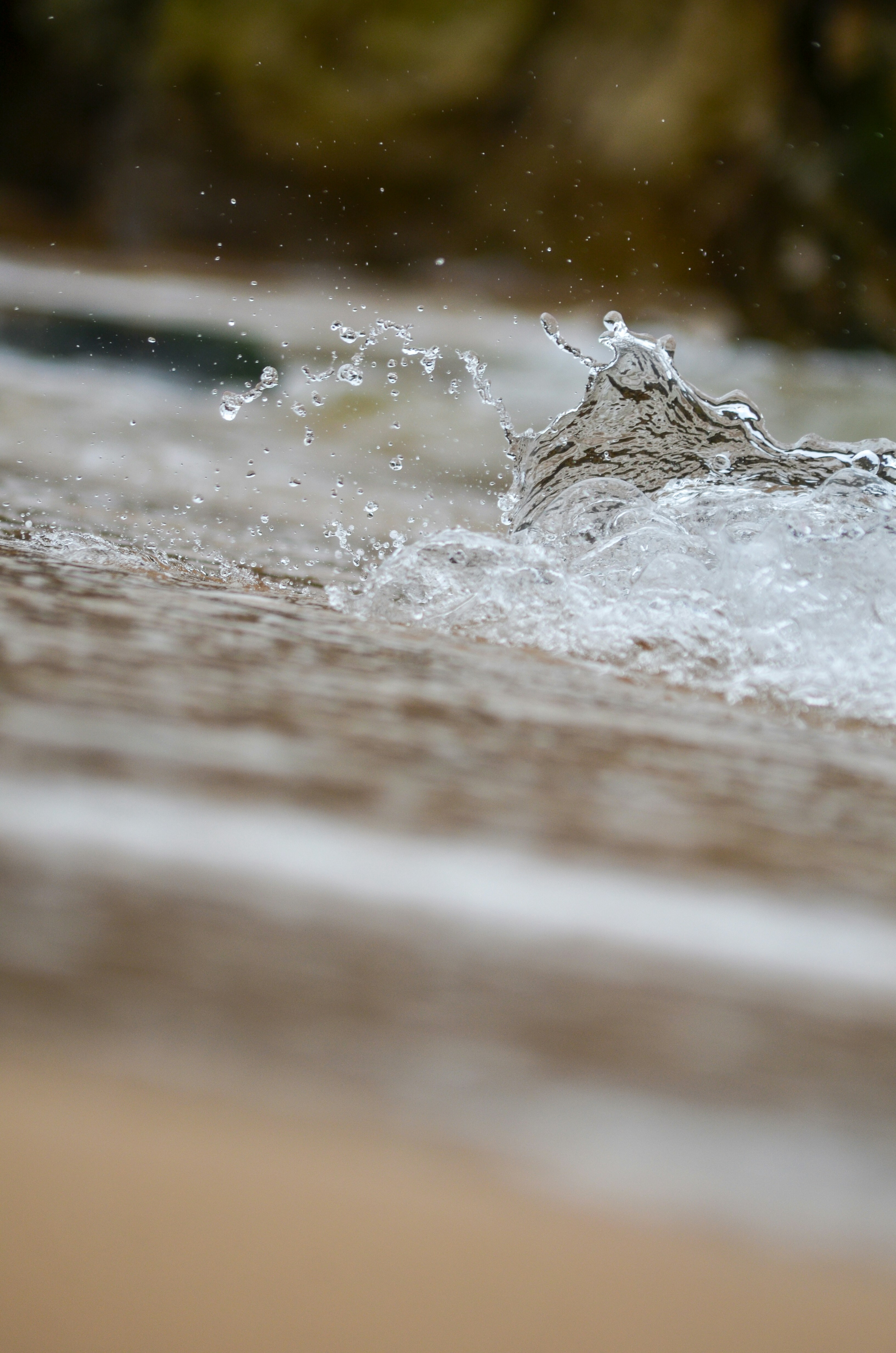 Rising Crest: Water Snap at the Edge of a Ripple