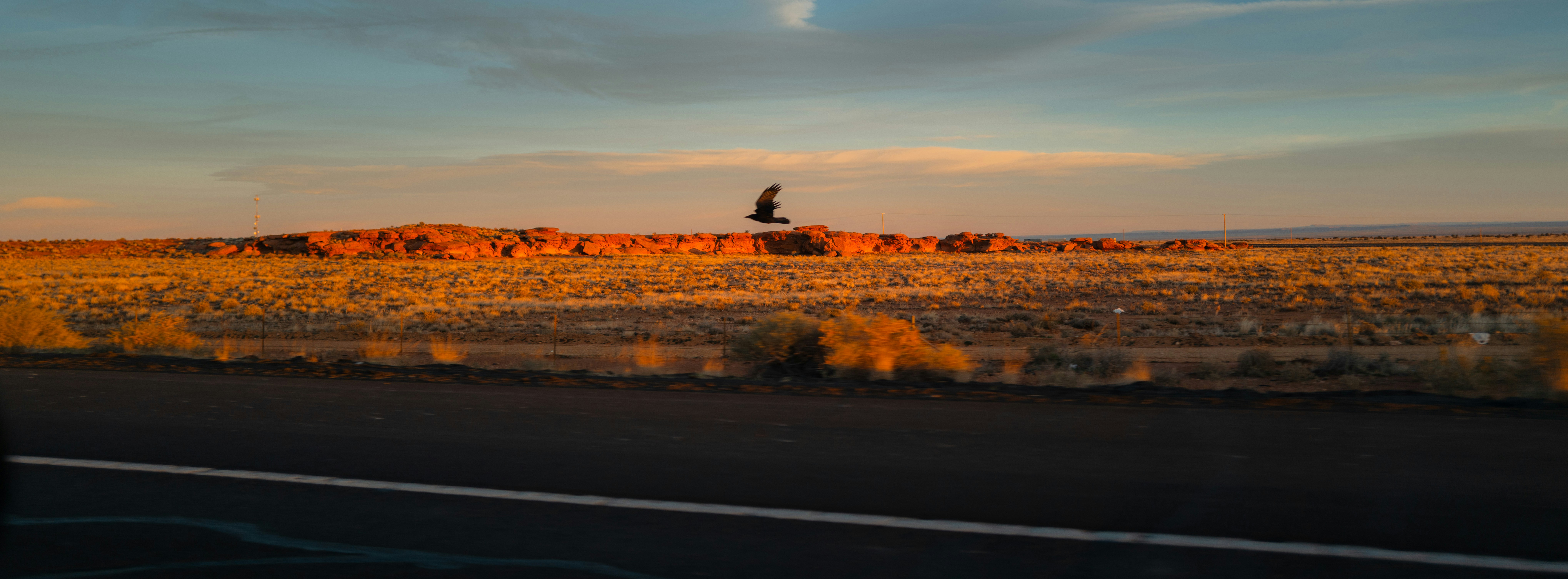 Desert Highway Silhouette at Golden Hour