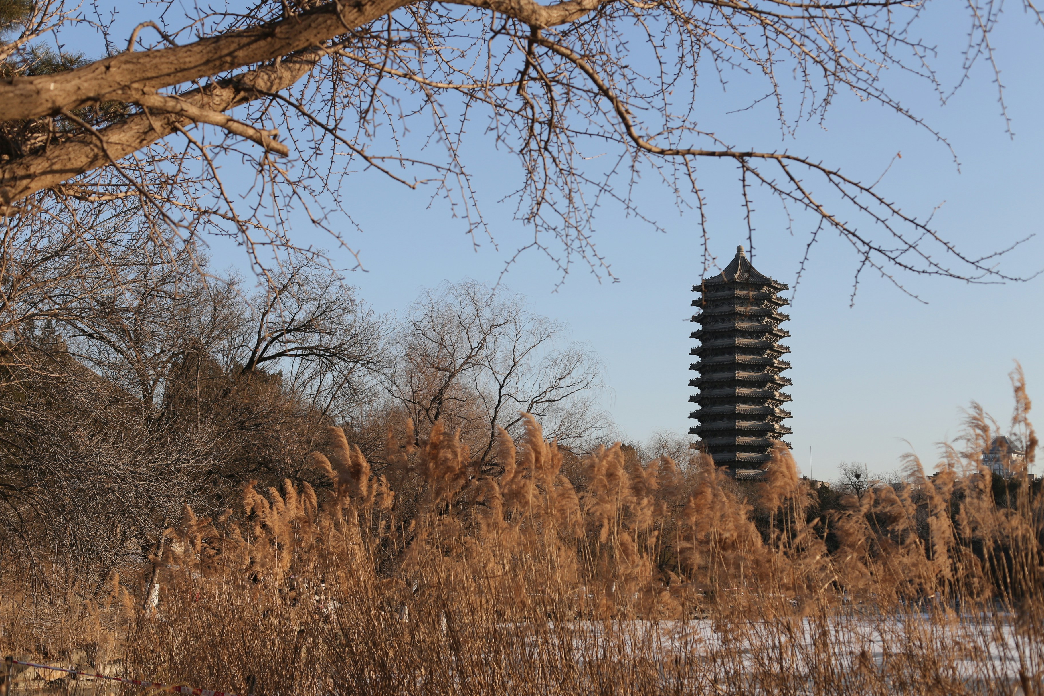 Winter Pagoda in Reeds: Silent Tiered Tower Against a Pale Sky
