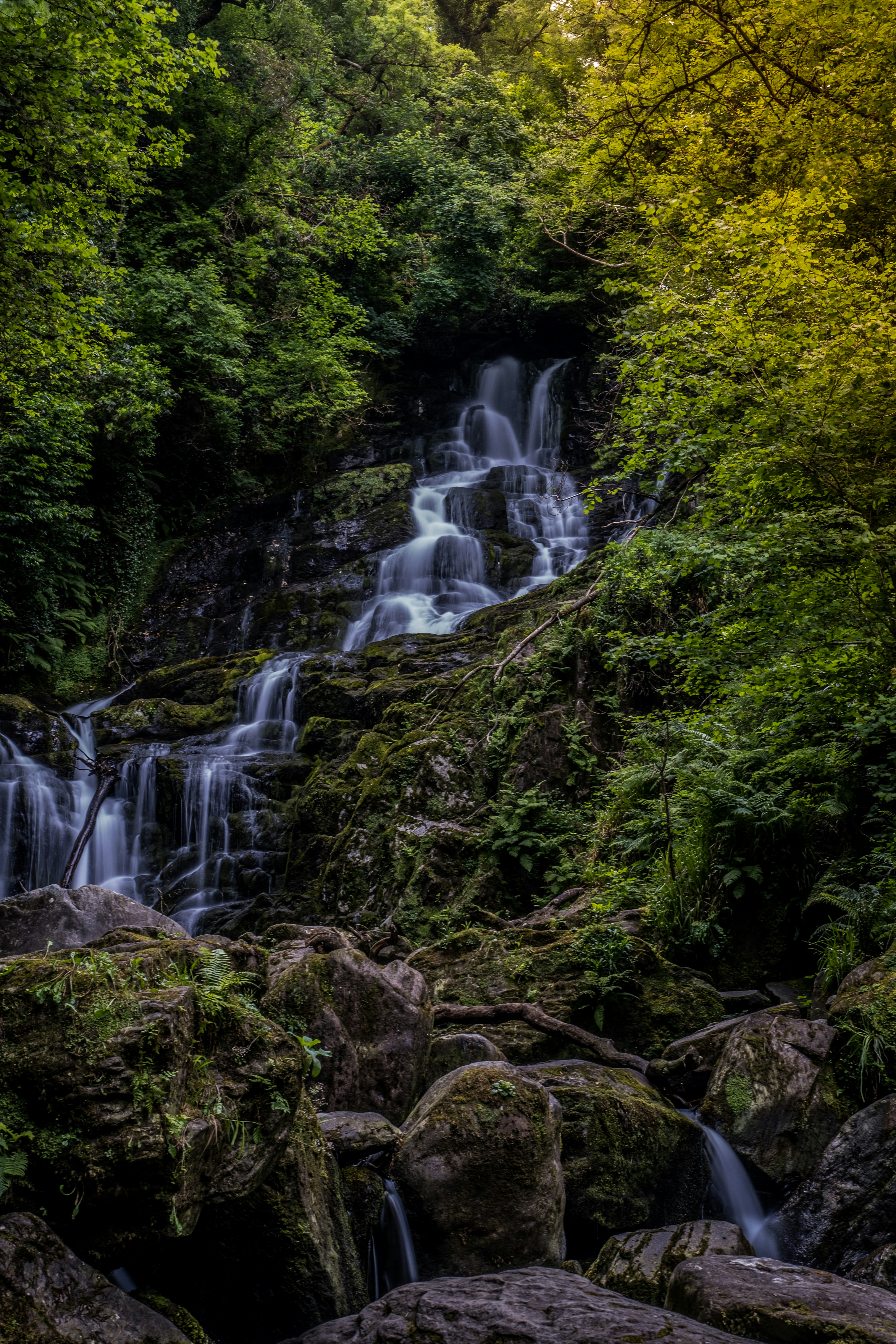 Whispering Cascade in a Moss-Cloaked Glen