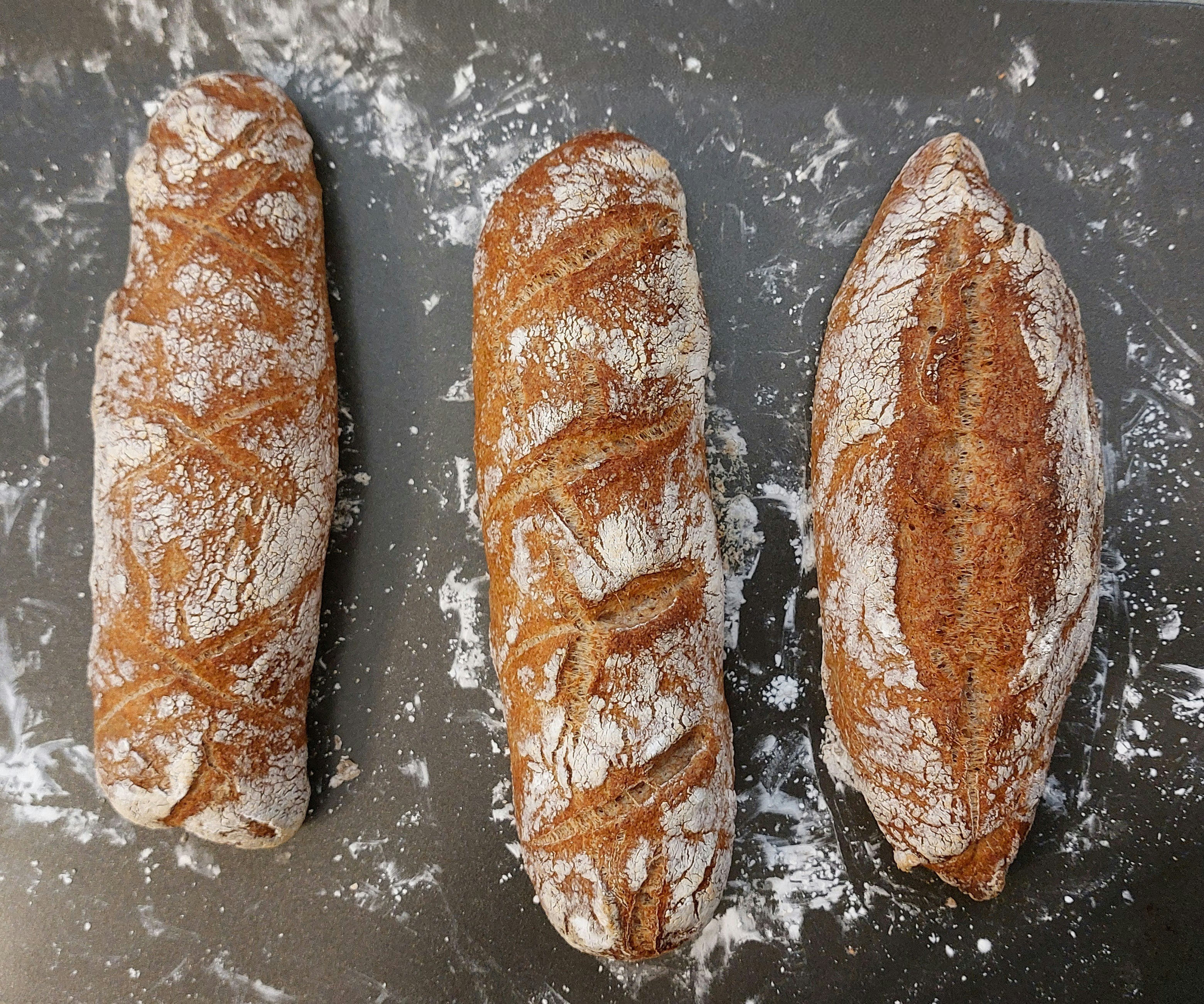 Rustic Trio: Dusty Crusts Waiting to Rise