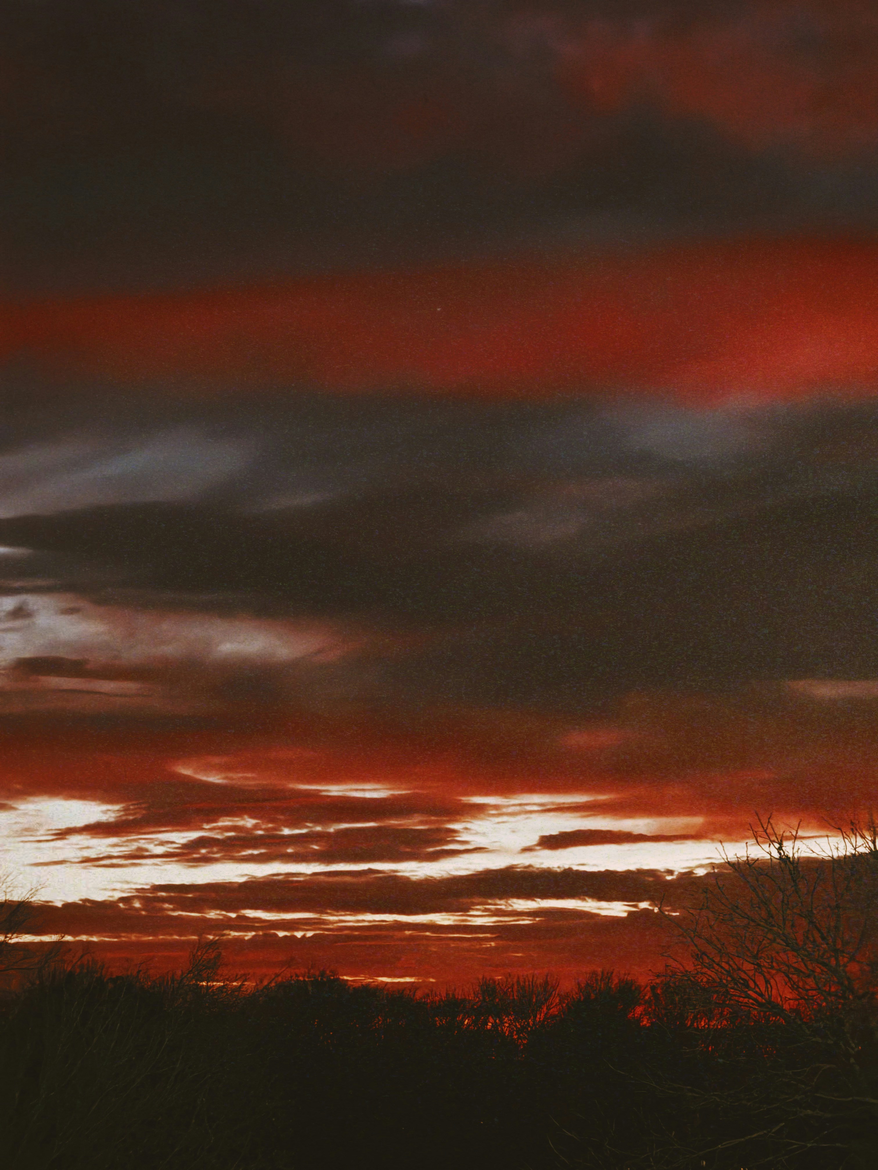 Crimson Dusk Over Bare Horizon