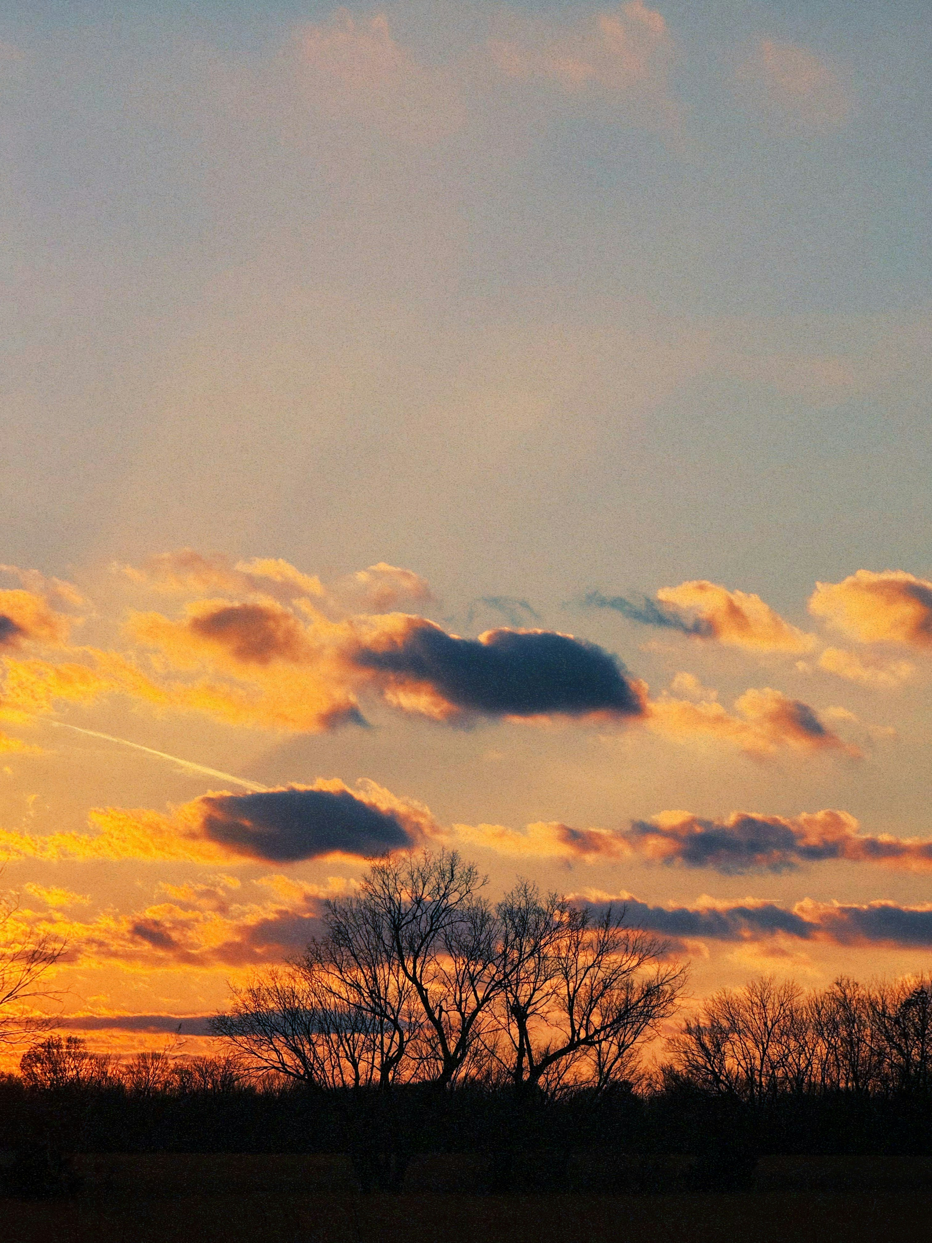 Low Horizon, Fiery Skies: A Quiet Sunset Over Bare Trees