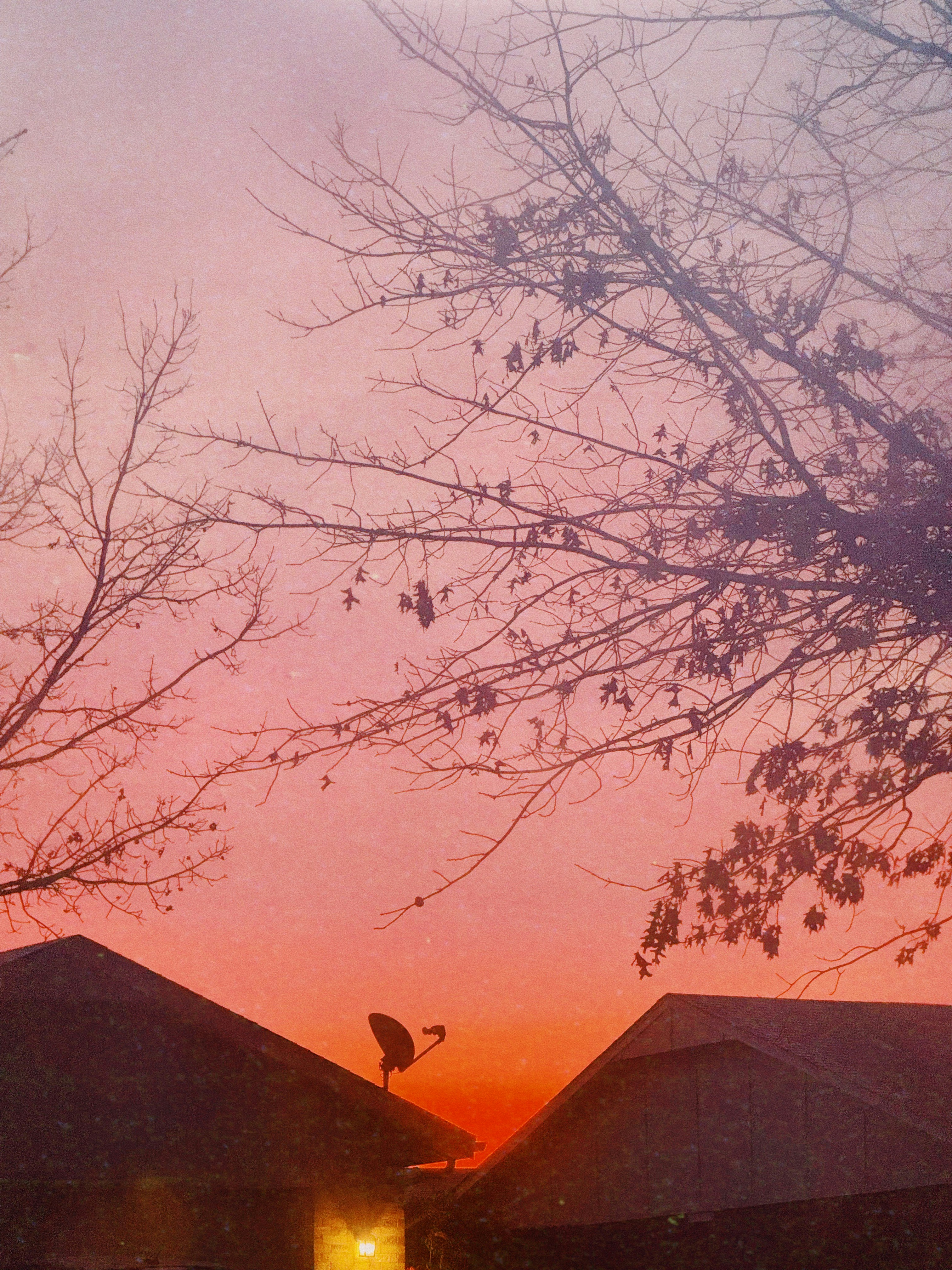 Silhouetted rooftops Beneath a Coral Sunset