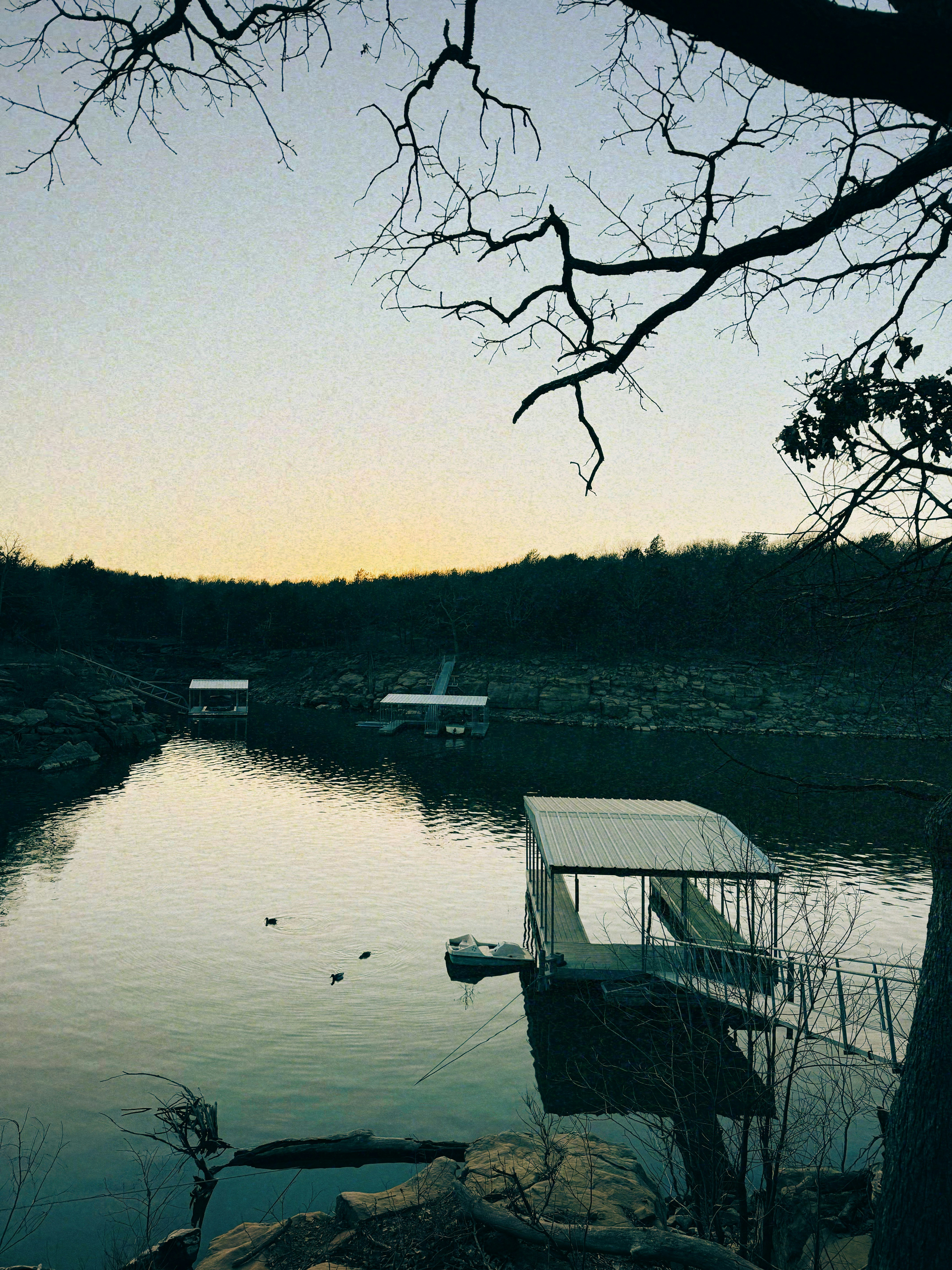 Dusk on the Quiet Reservoir: A Dock Framed by Bare Branches