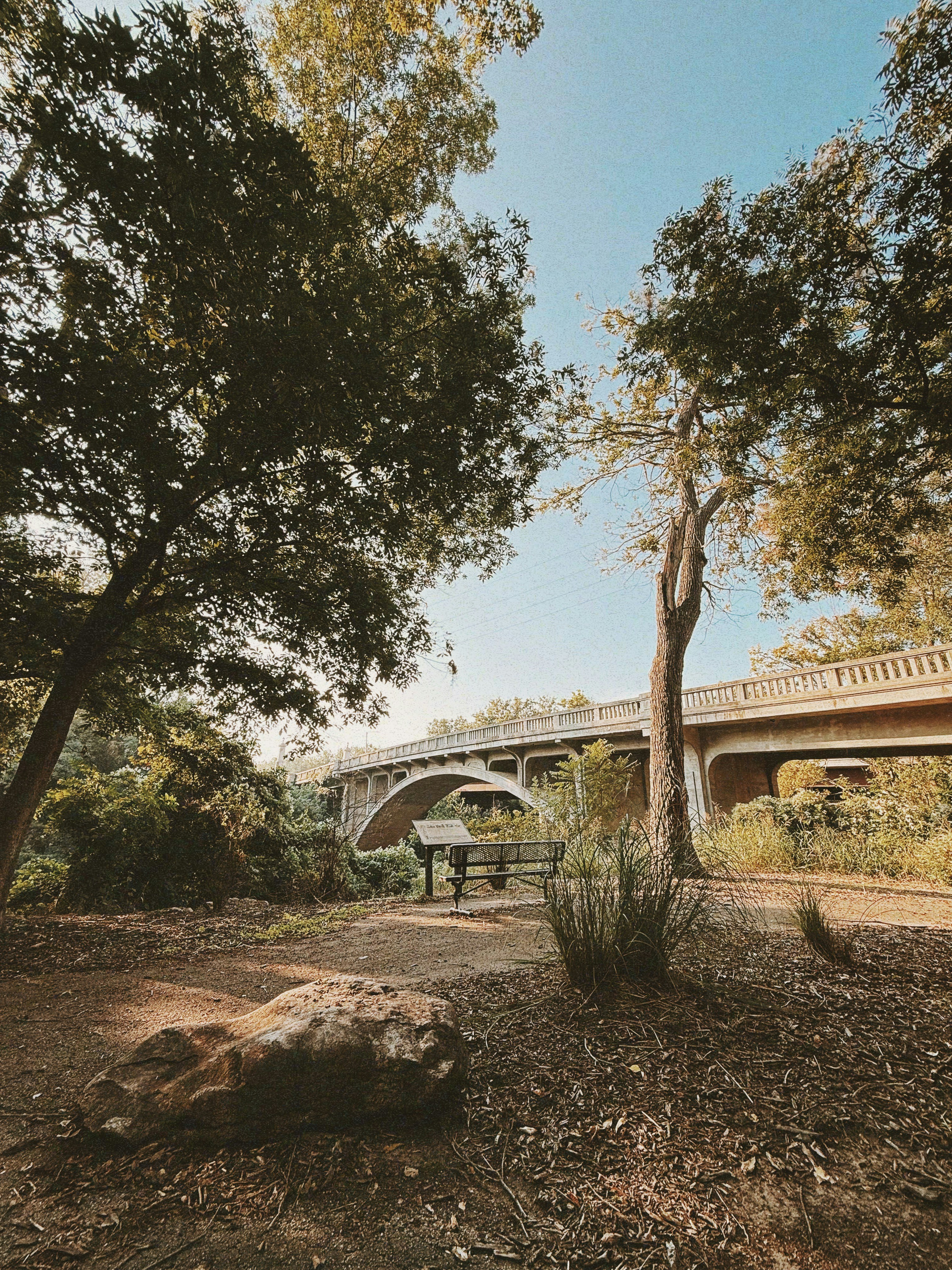 Sunlit Creekside Bridge: Quiet Grasslands Beneath a Golden Canopy