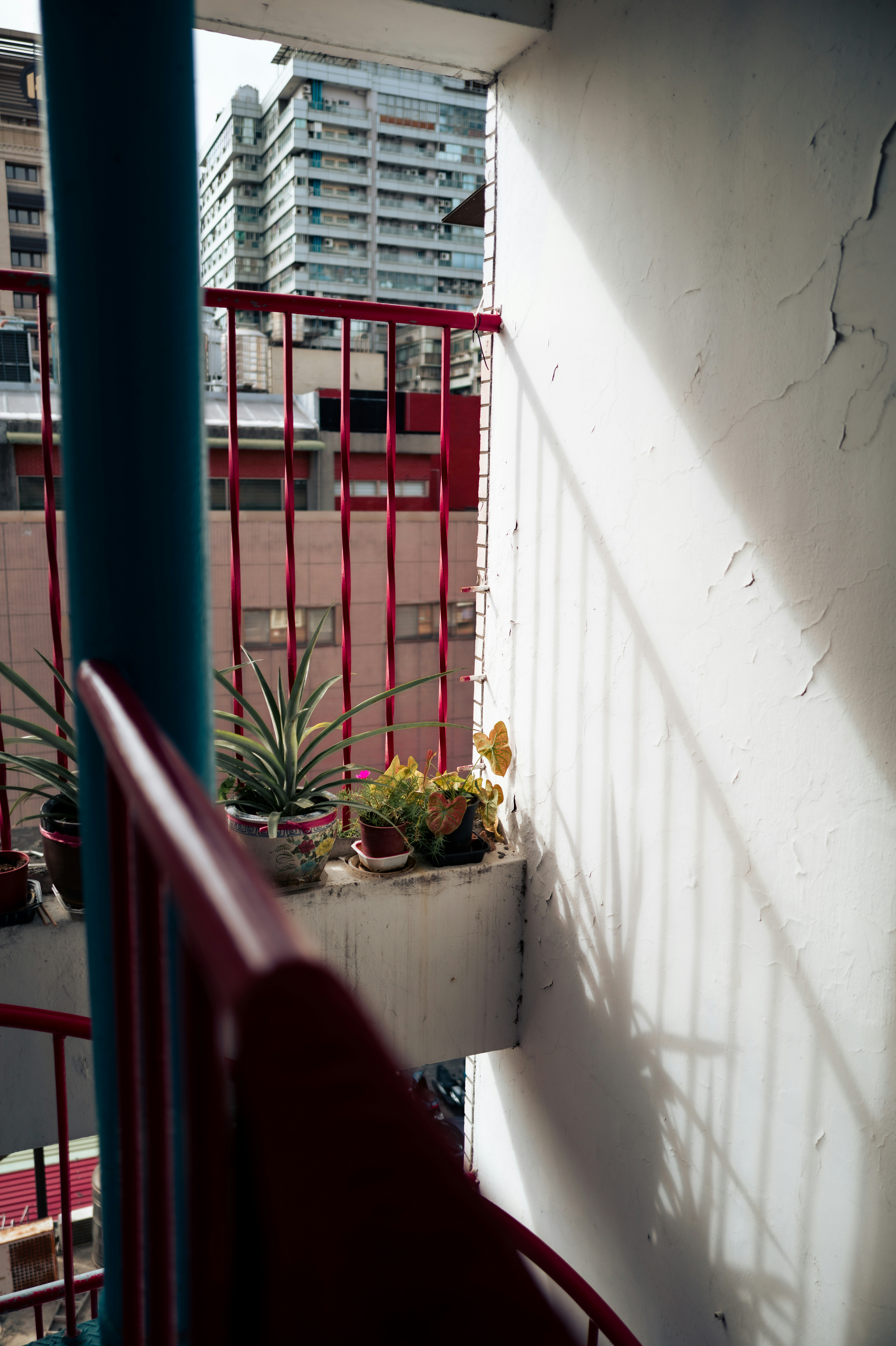 Urban balcony greens: potted plants meet concrete shadows