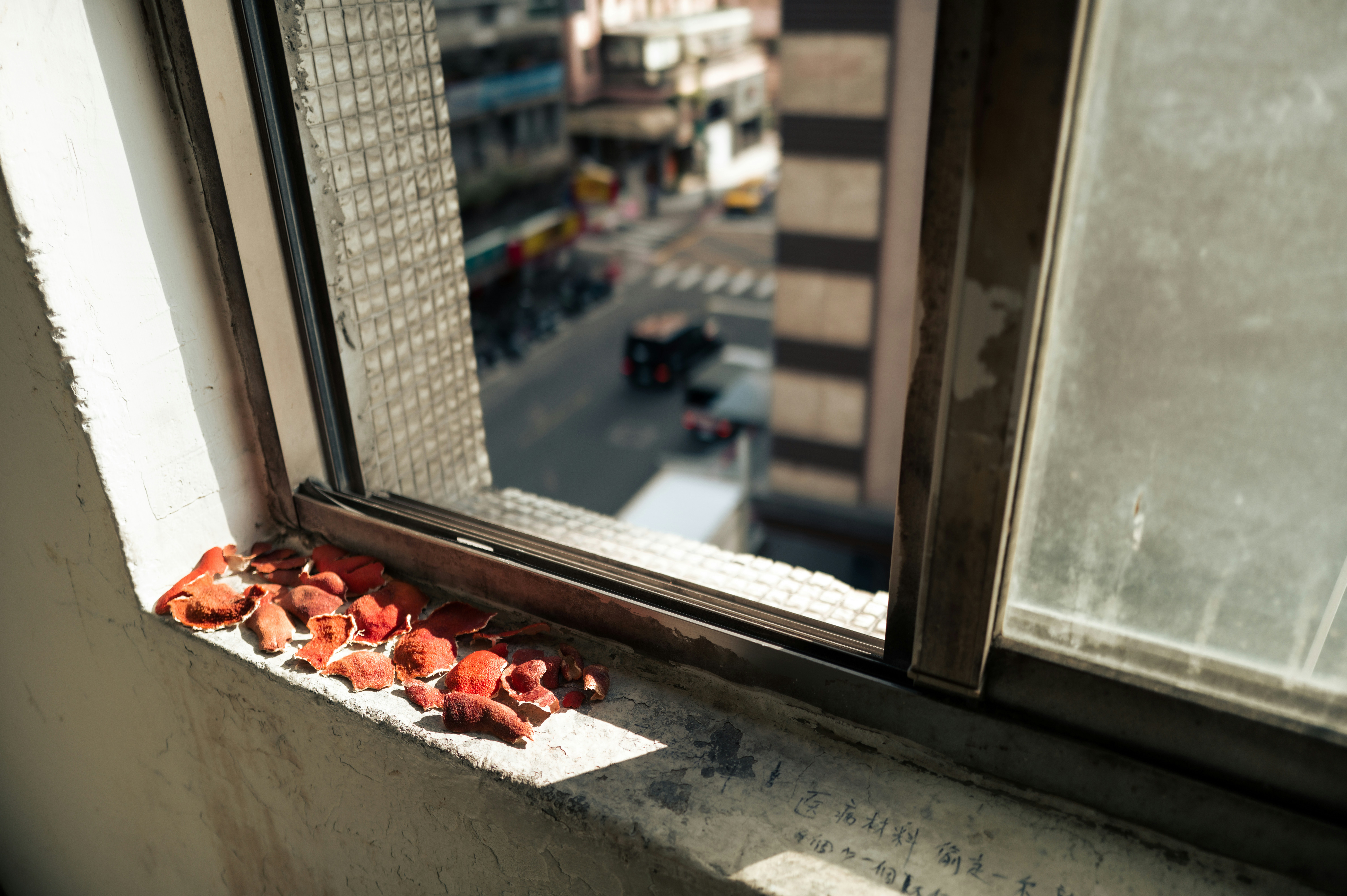 Red Window Sill: Urban Fragments Framed by Brick and Glass