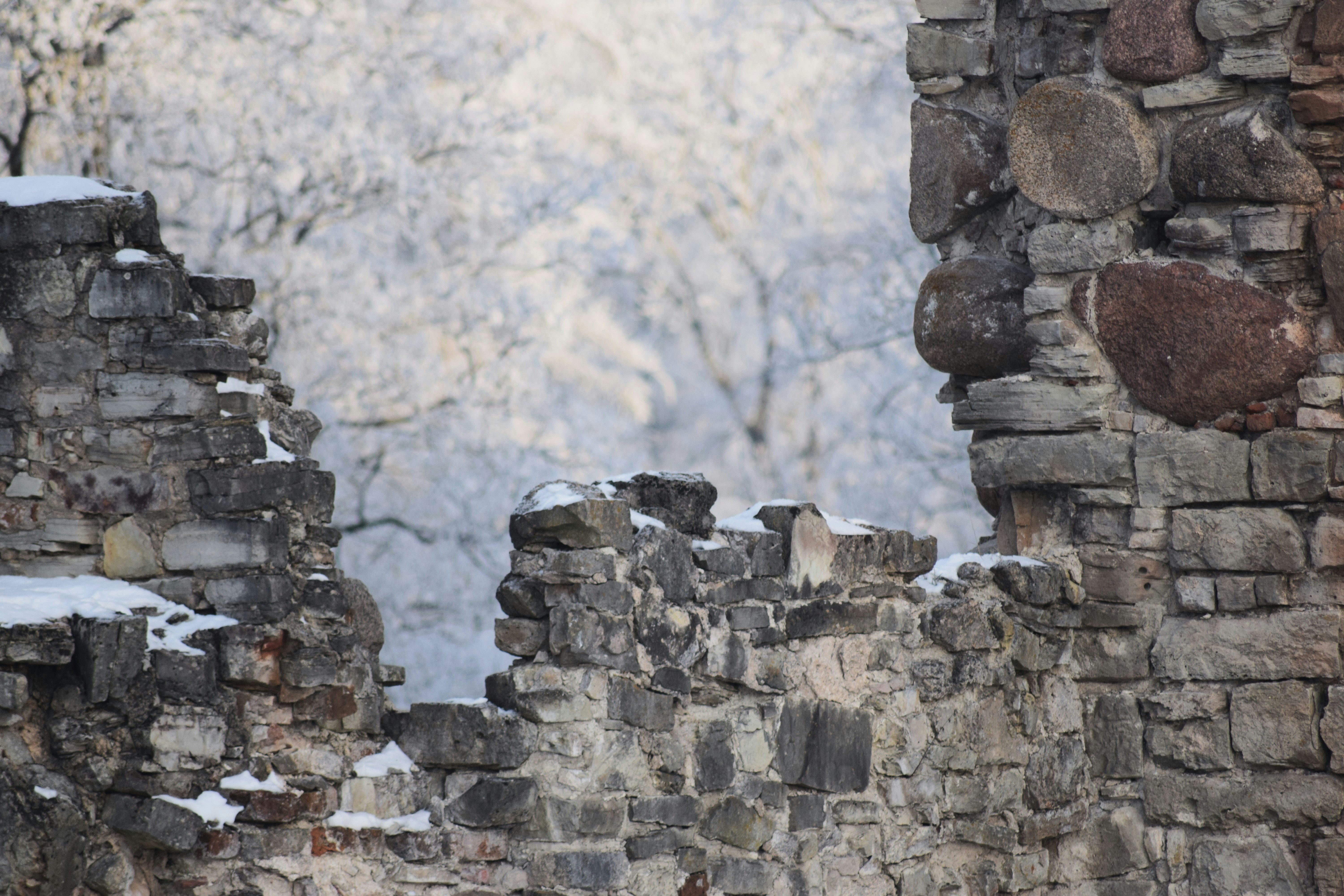 Winter Light Through Crumbling Stone: A Quiet Ruin Framed by Frosted Trees