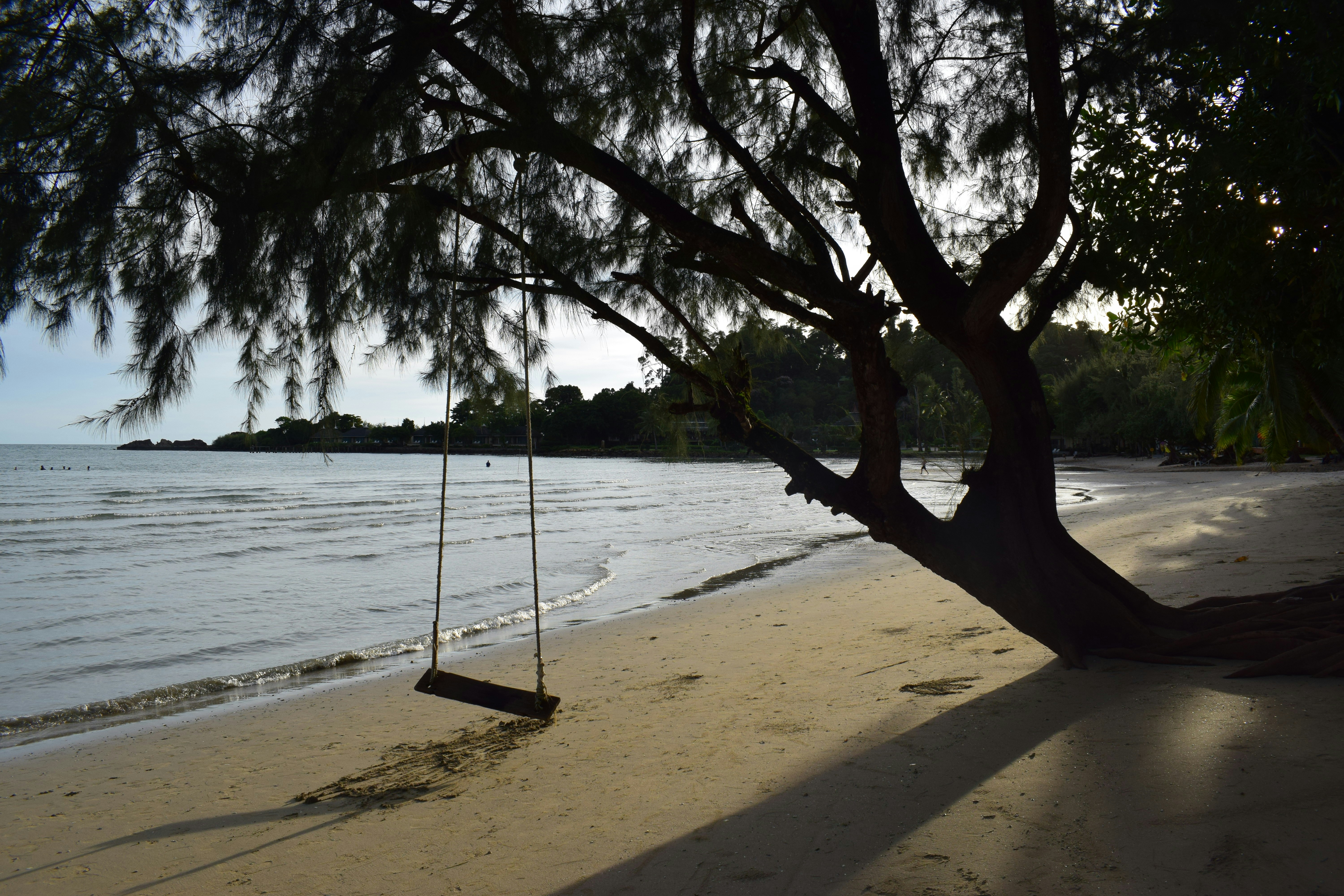 Shaded Swing Over Quiet Tide