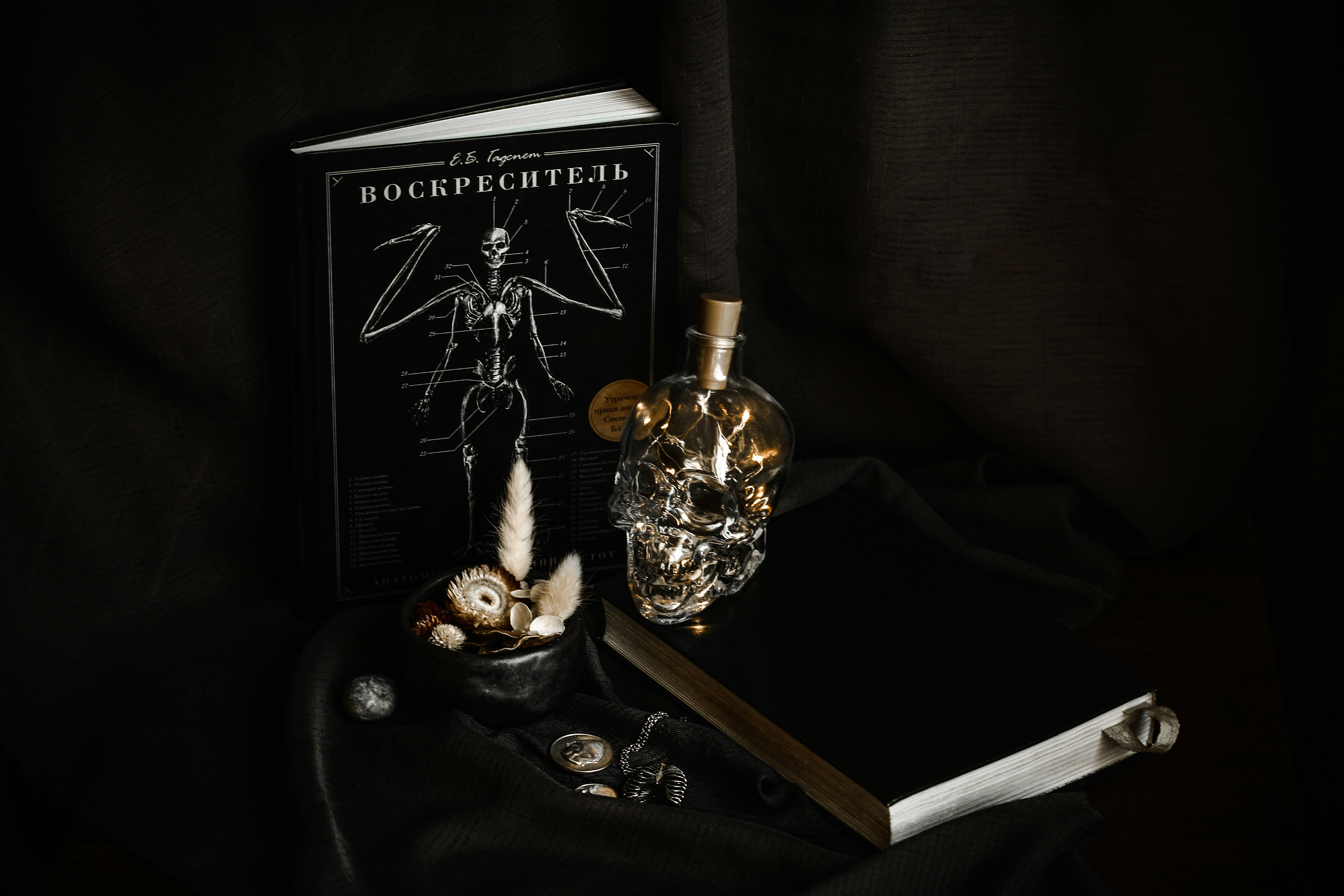 Dark Still Life: a Skeleton Bottle, Feathers, and a Closed Book in Velvet Void