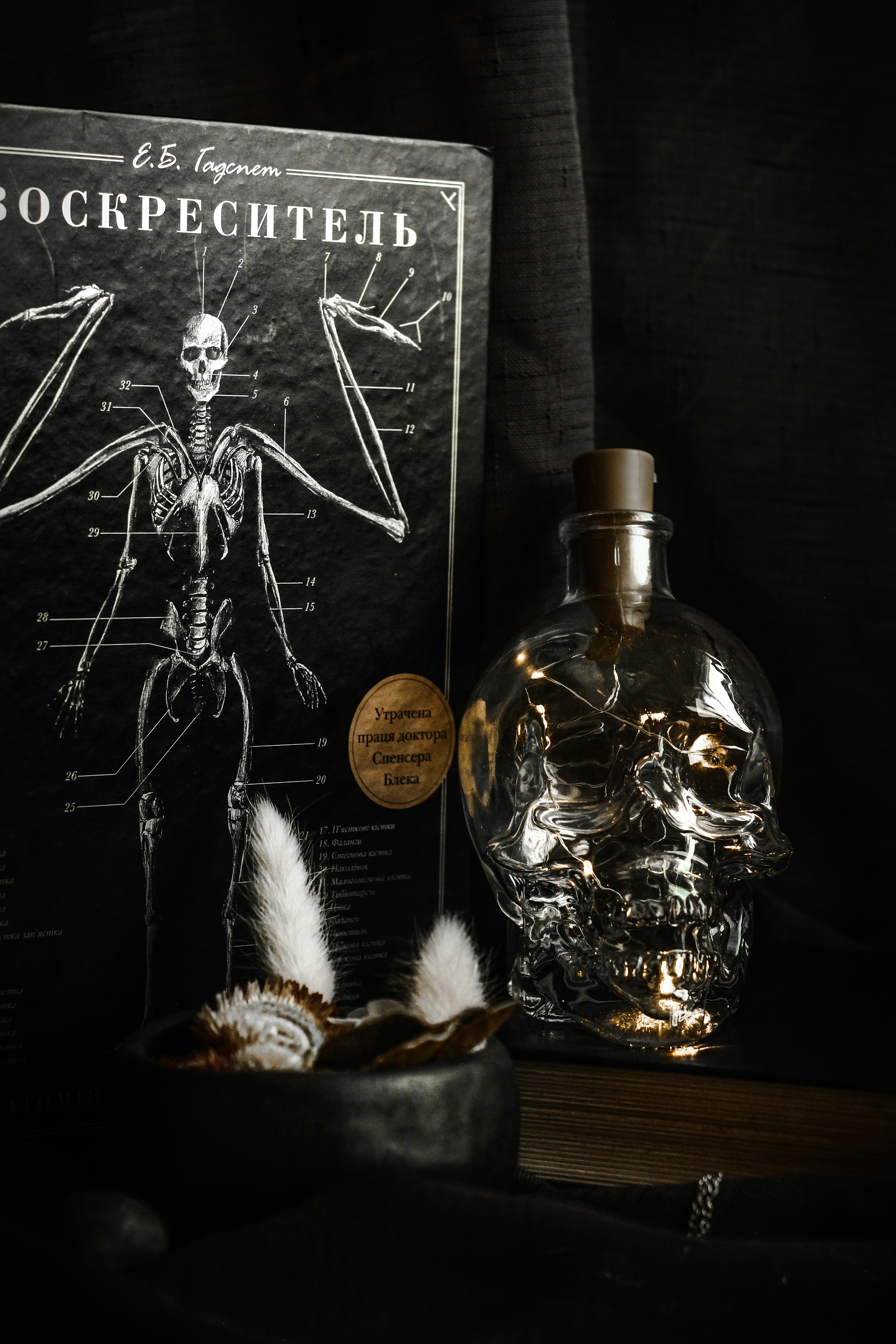 Dark still life featuring a Russian anatomical diagram poster leaning beside a glass skull bottle and a small feathered display on a wooden surface. The composition emphasizes contrast between matte print and glossy skull.