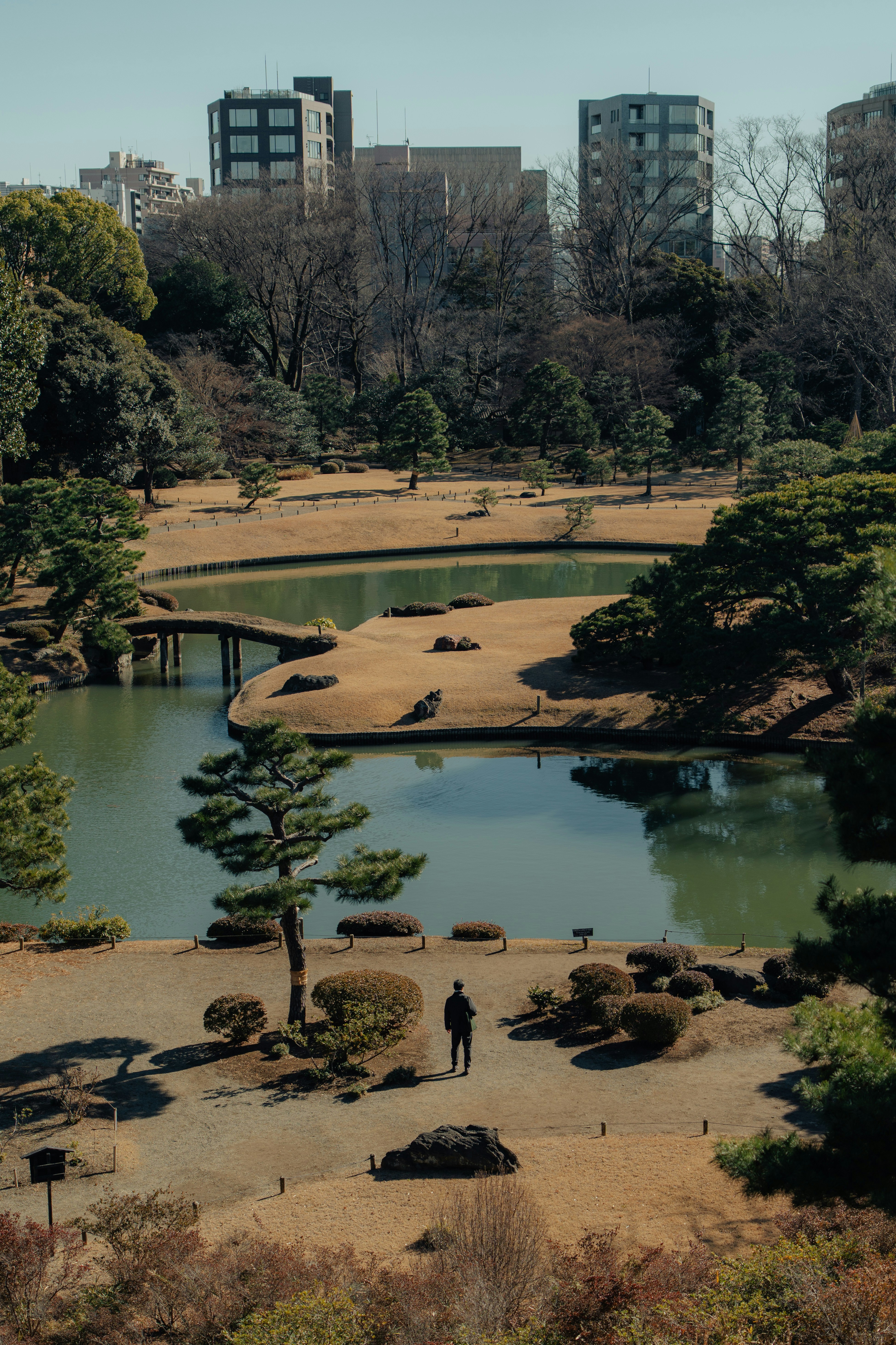 Serene Japanese Garden Arches a Cityscape