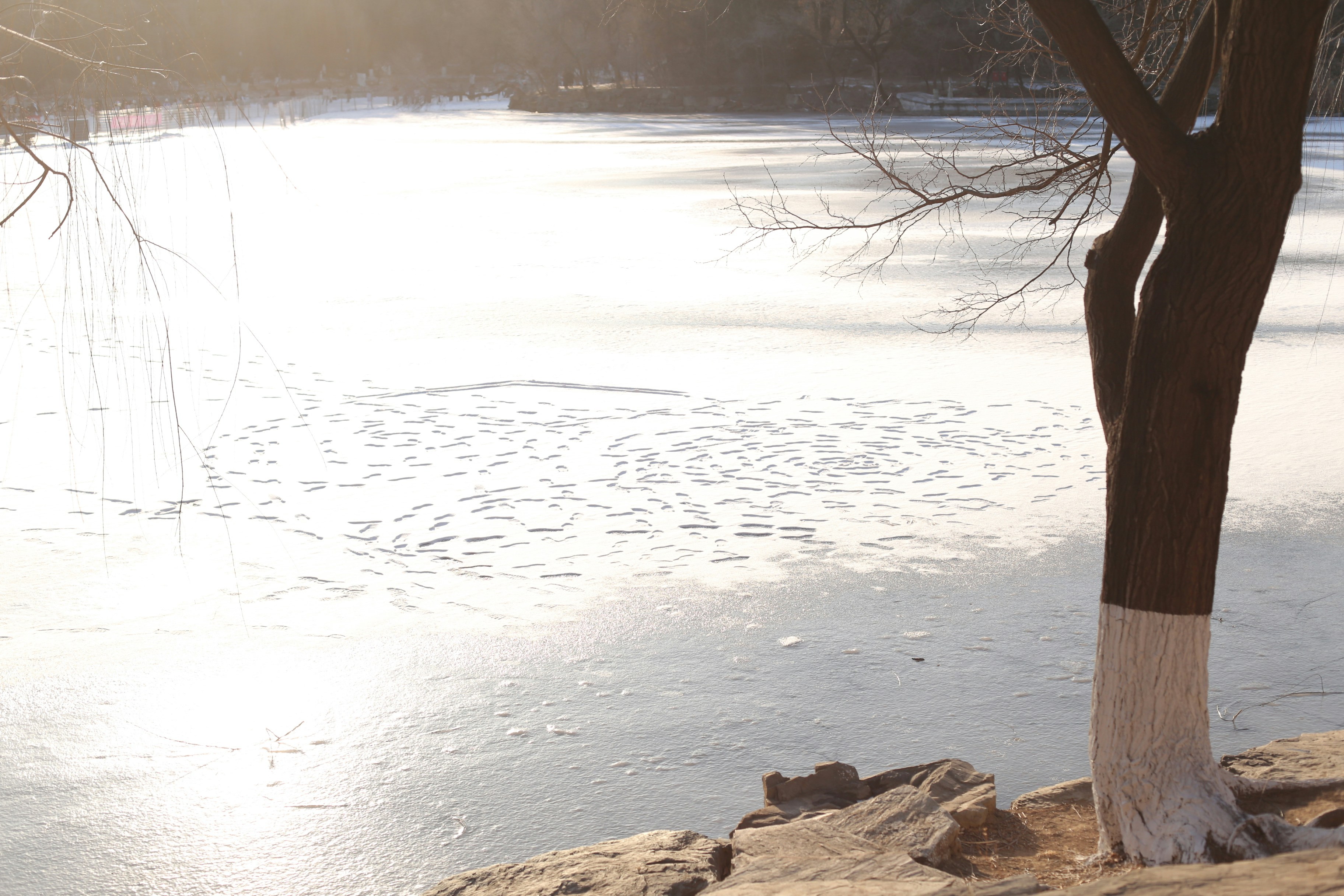 Sunlit Frost on the Lakeside Rim
