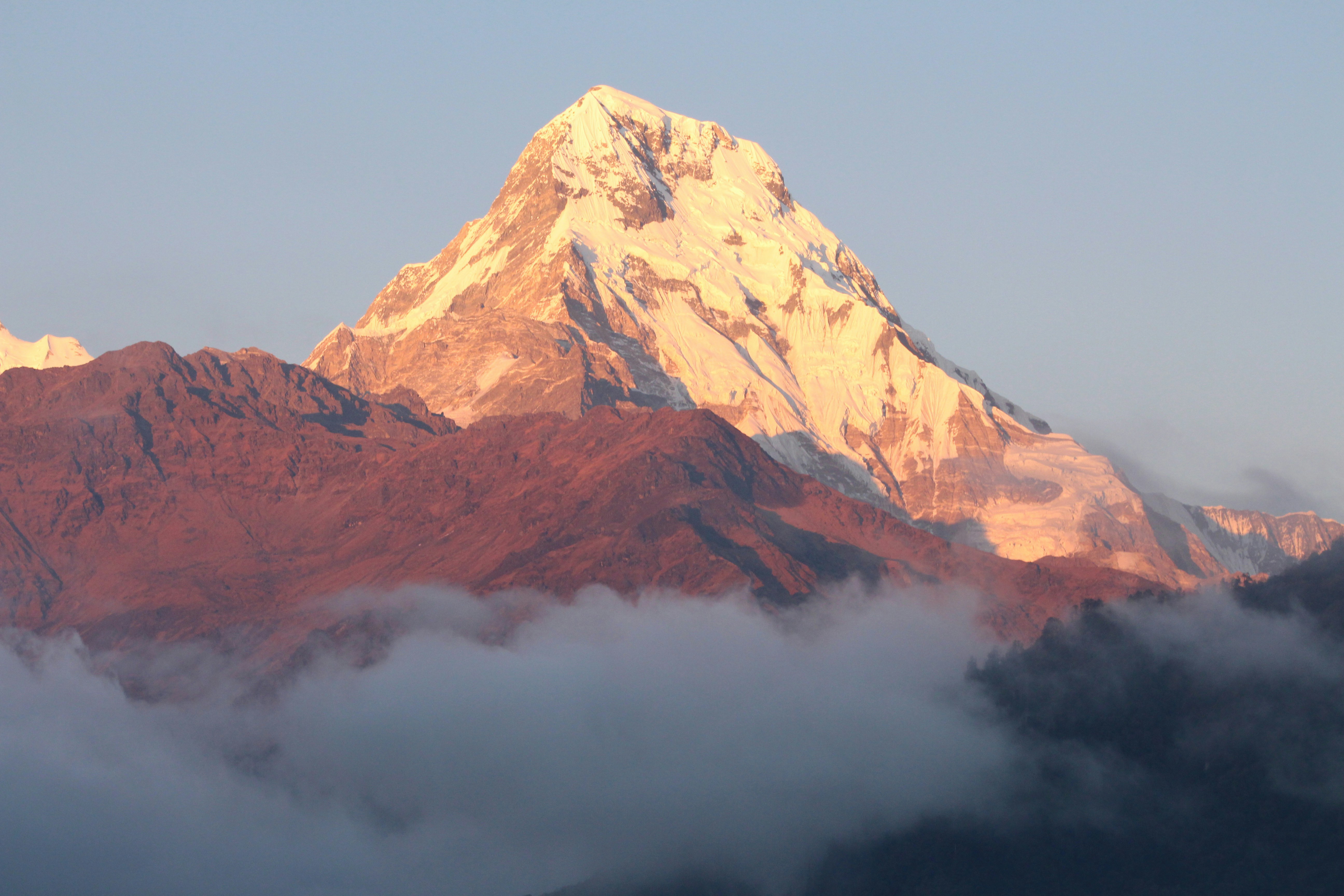 Echo of the Peak: Alpenglow on the Summit Above the Clouds