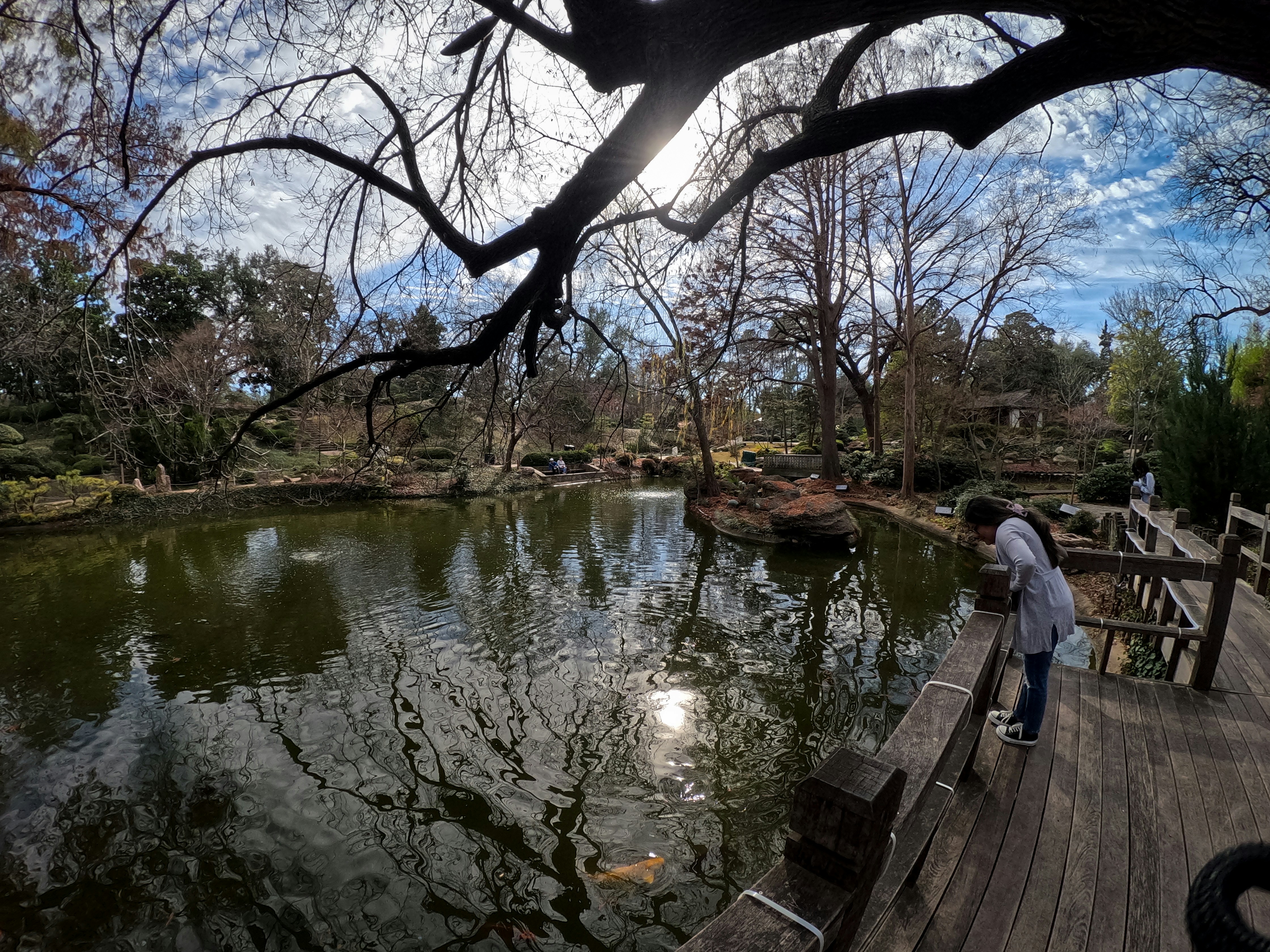 Bridgeside Contemplation by the Pond