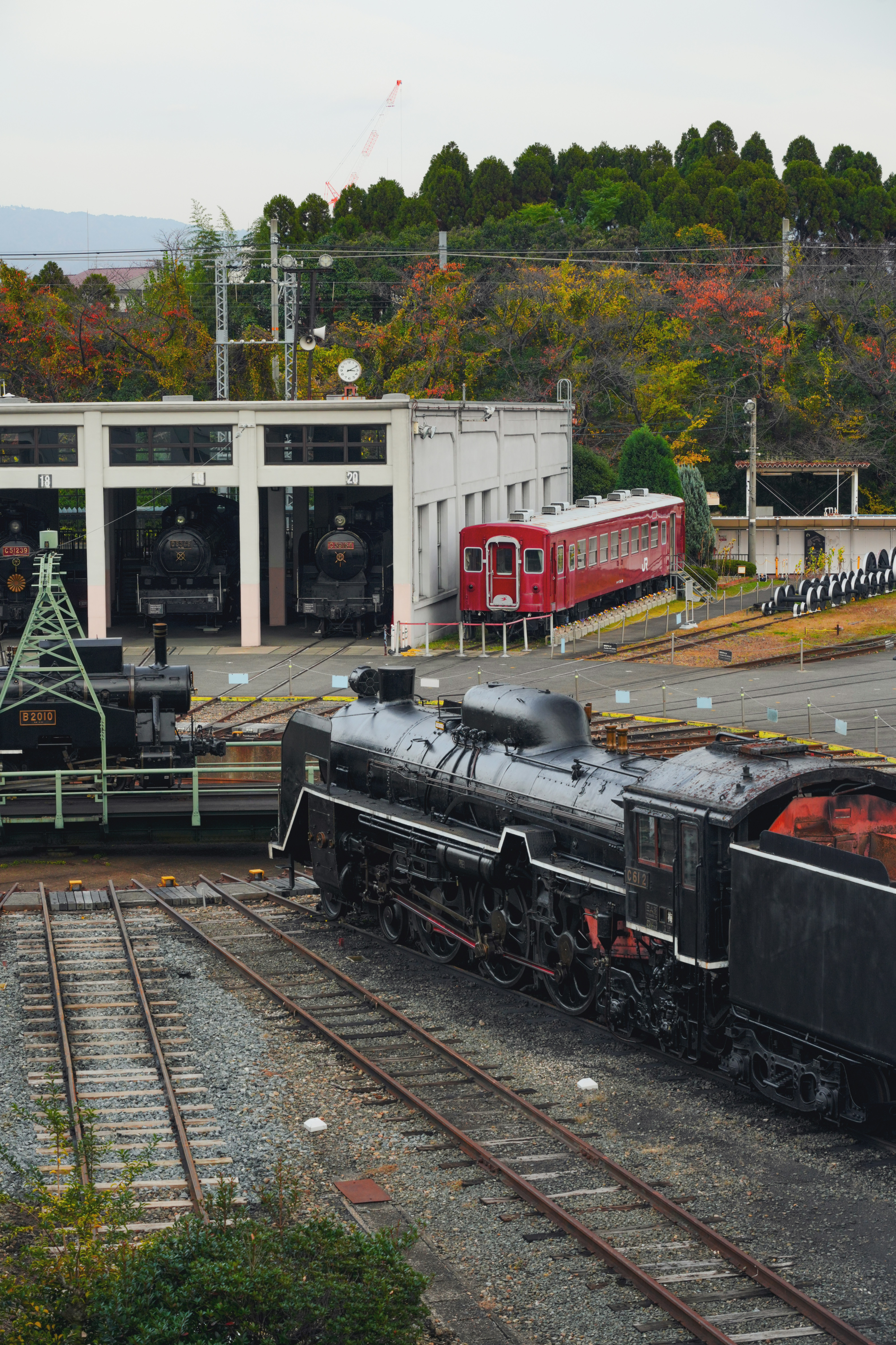 Steam Thrones: A Quiet Yard of Heritage Trains