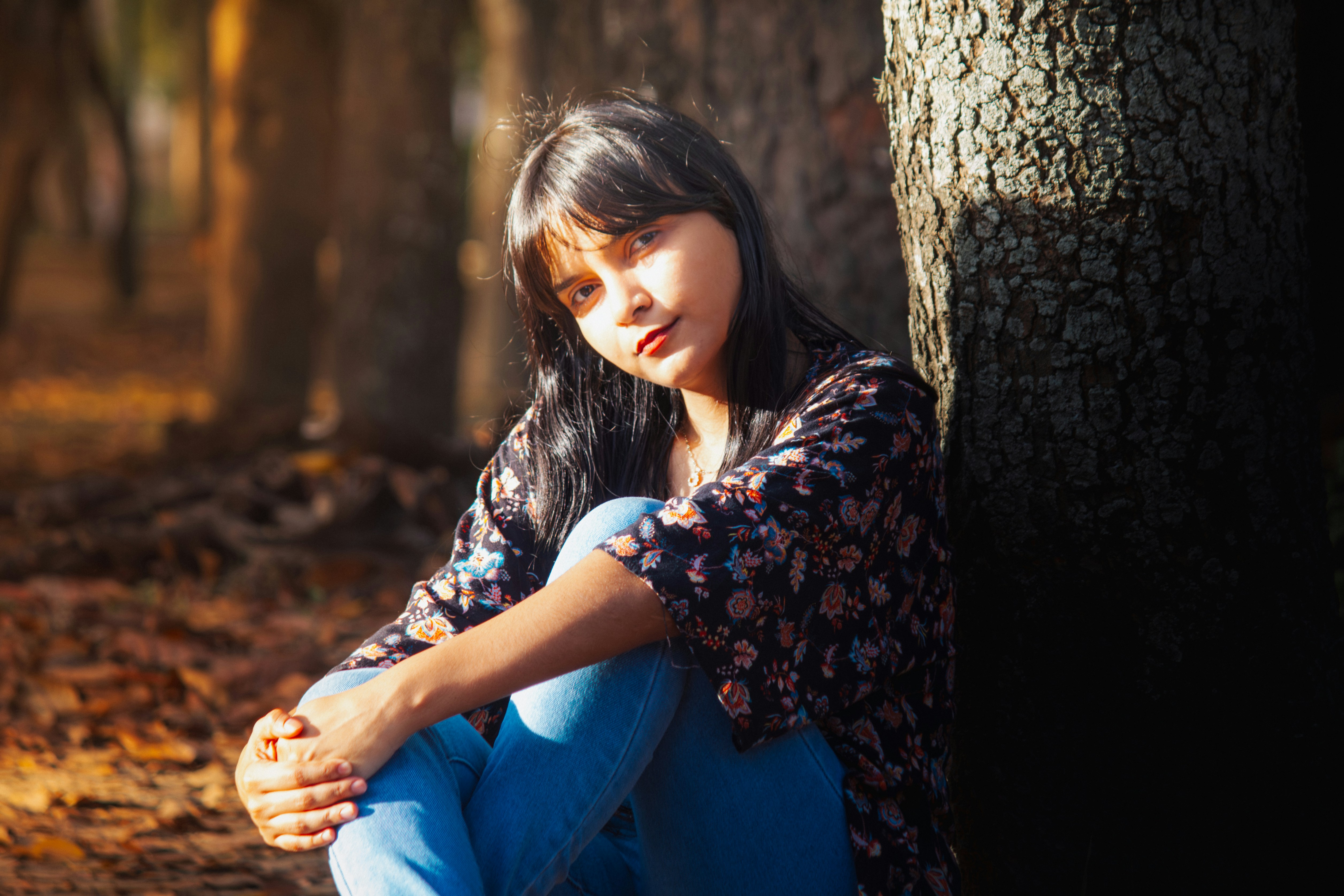 Sunlit Solitude: A Quiet Portrait in Autumn Woods