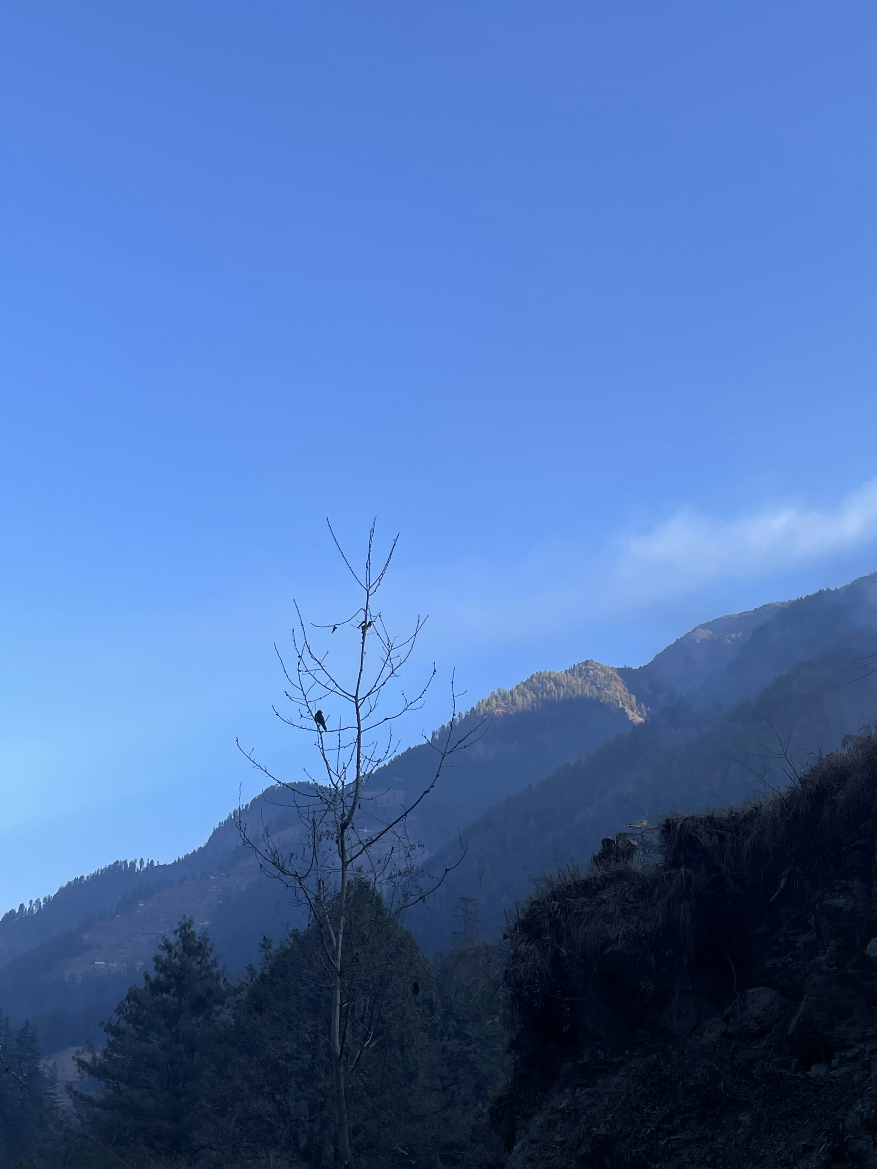 Blue Horizon Over a Silent Valley