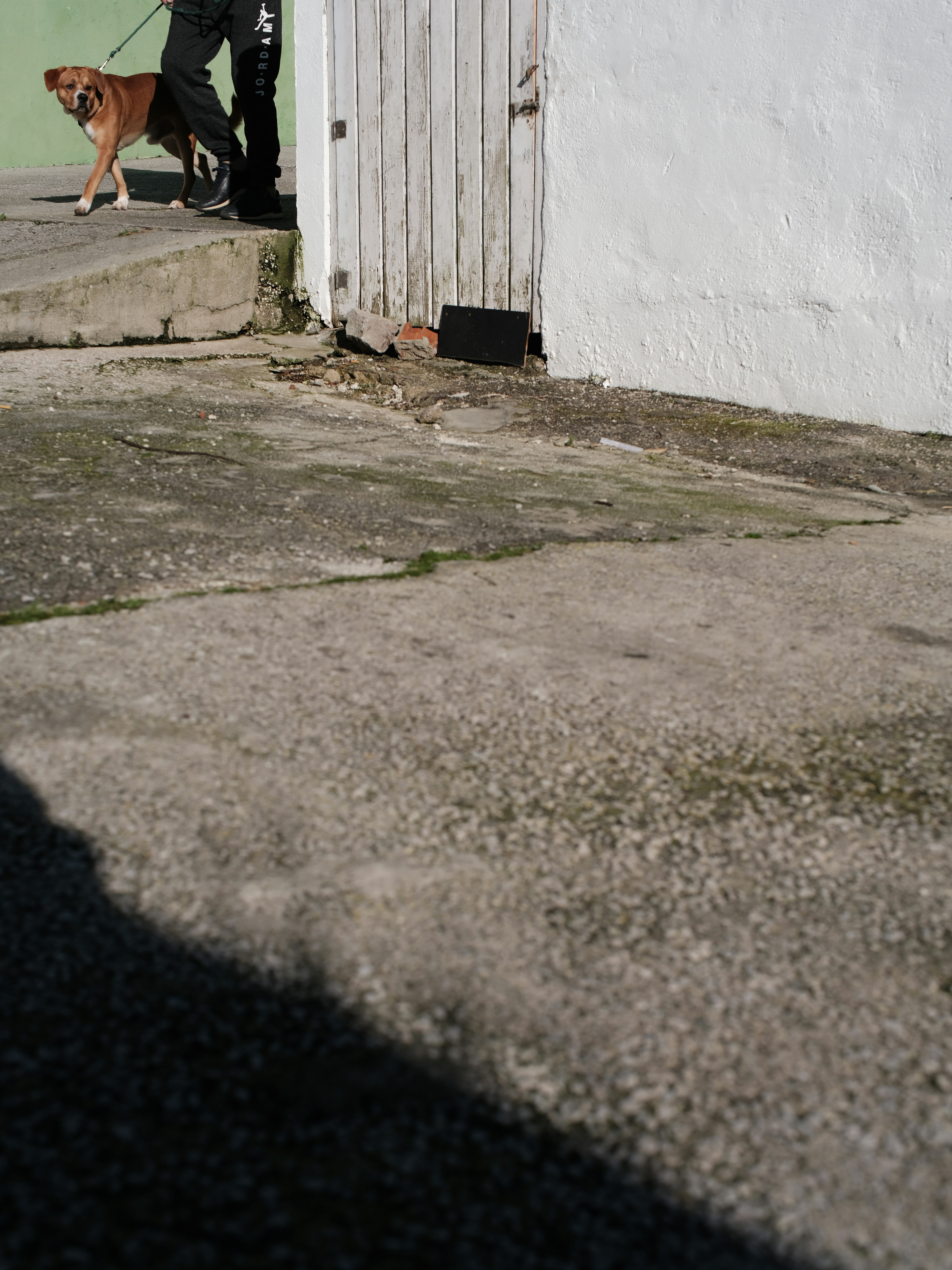 Ground-level Walk: A dog and its handler near a weathered doorway