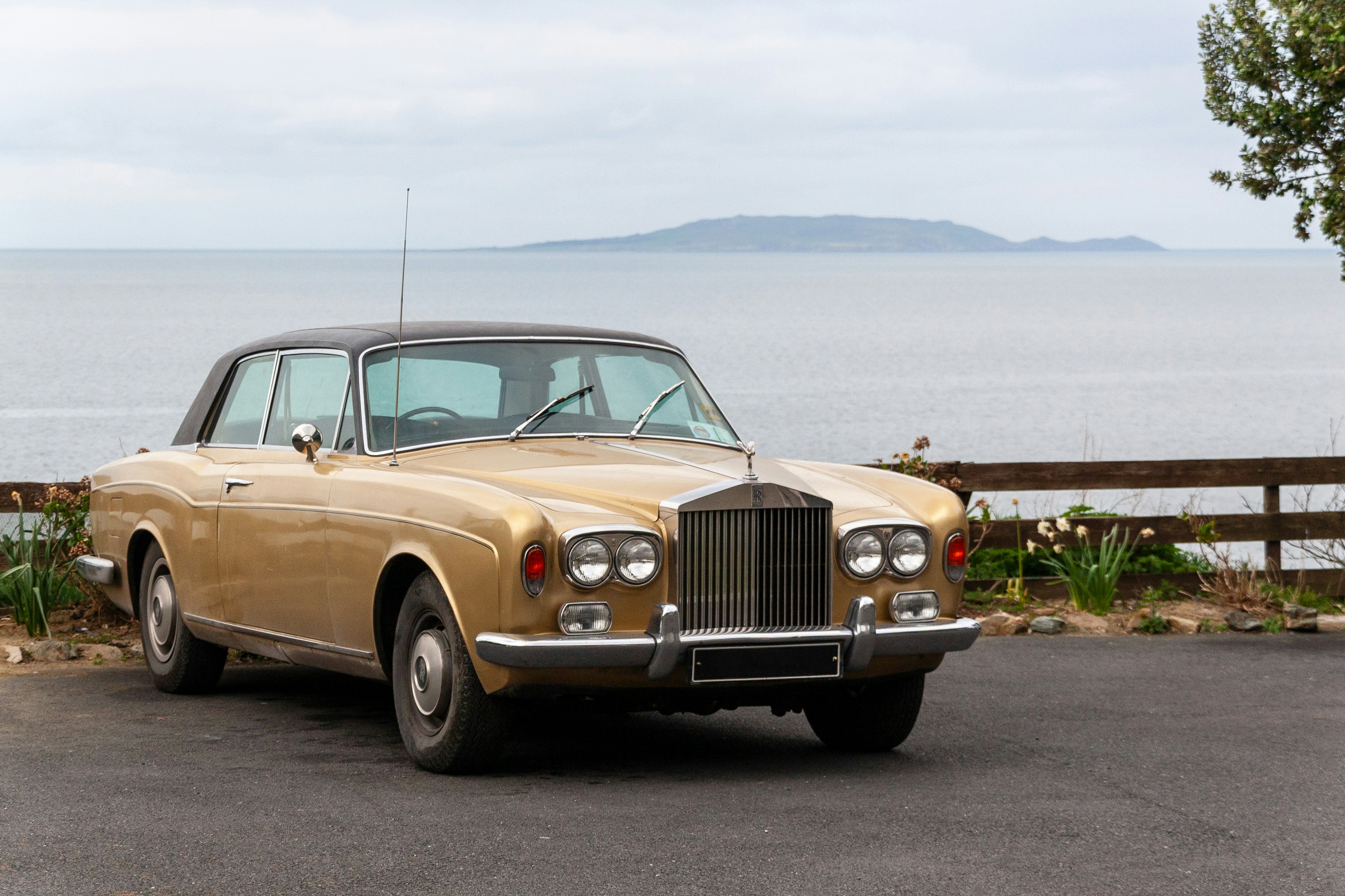 Mid-Century Roll: A Golden Classic Resting by the Seaside Road