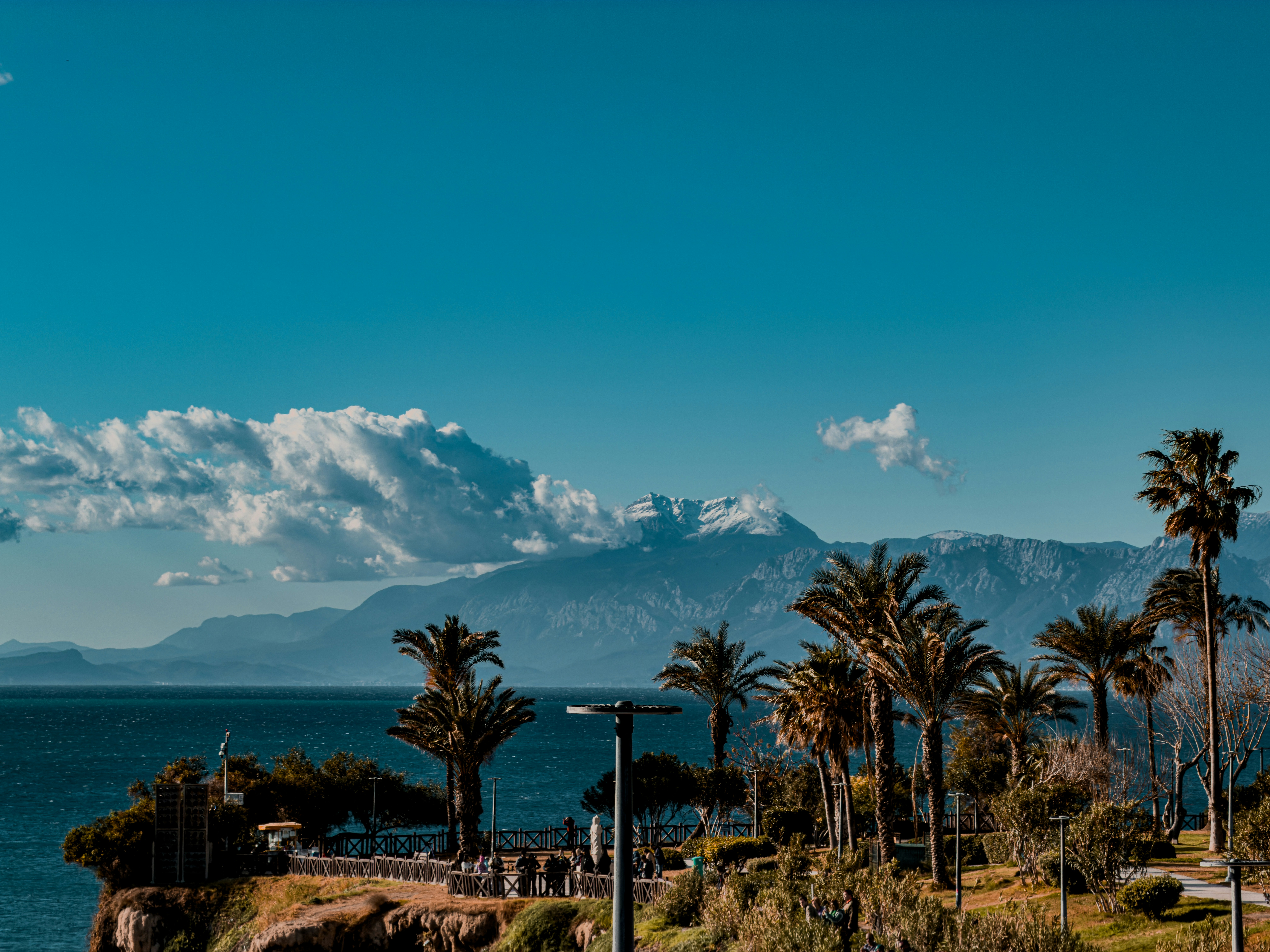 Palm-lined promenade by a calm coastal horizon