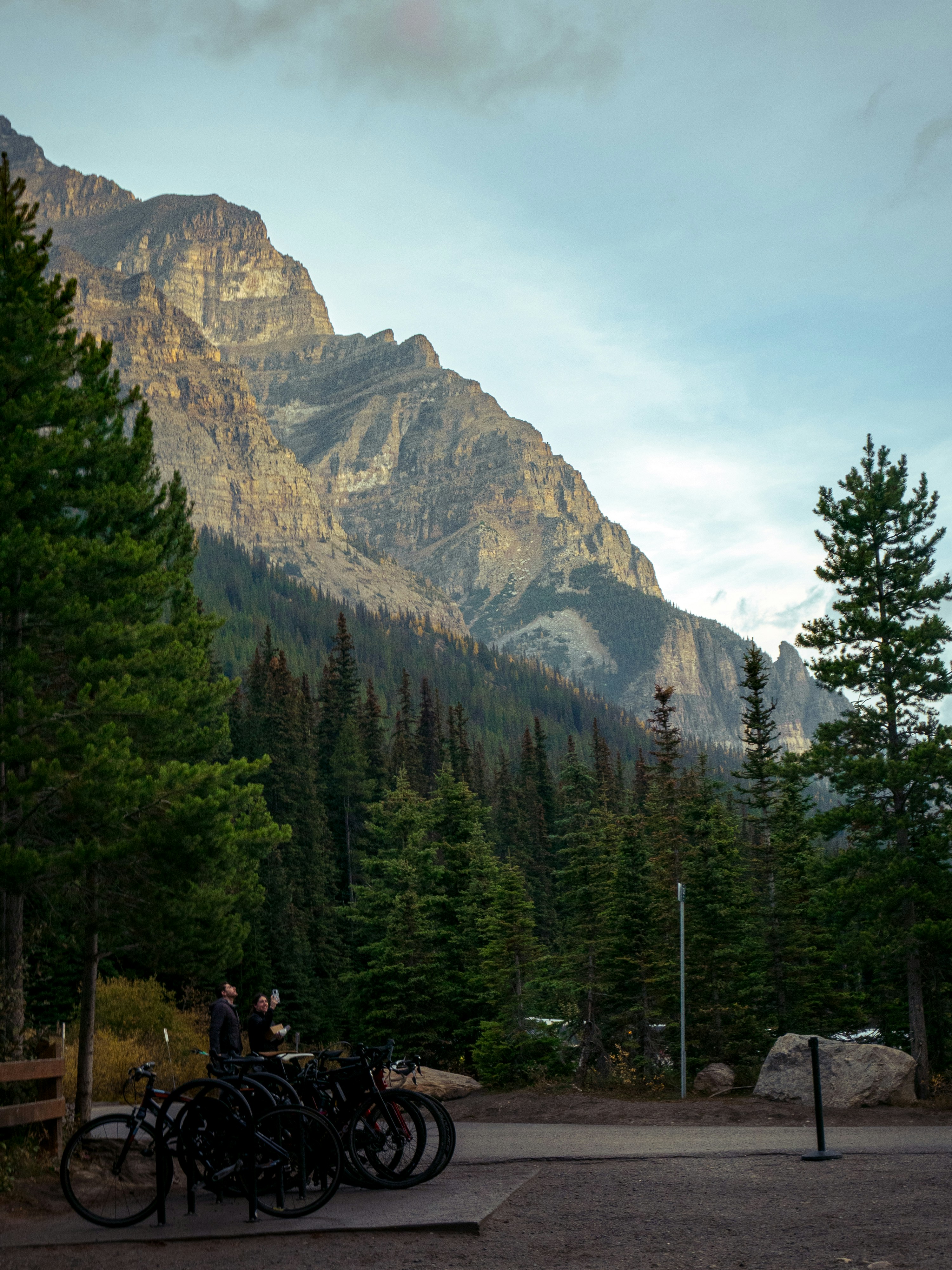 Beneath the Peaks: Bicycles and Pines at Dusk