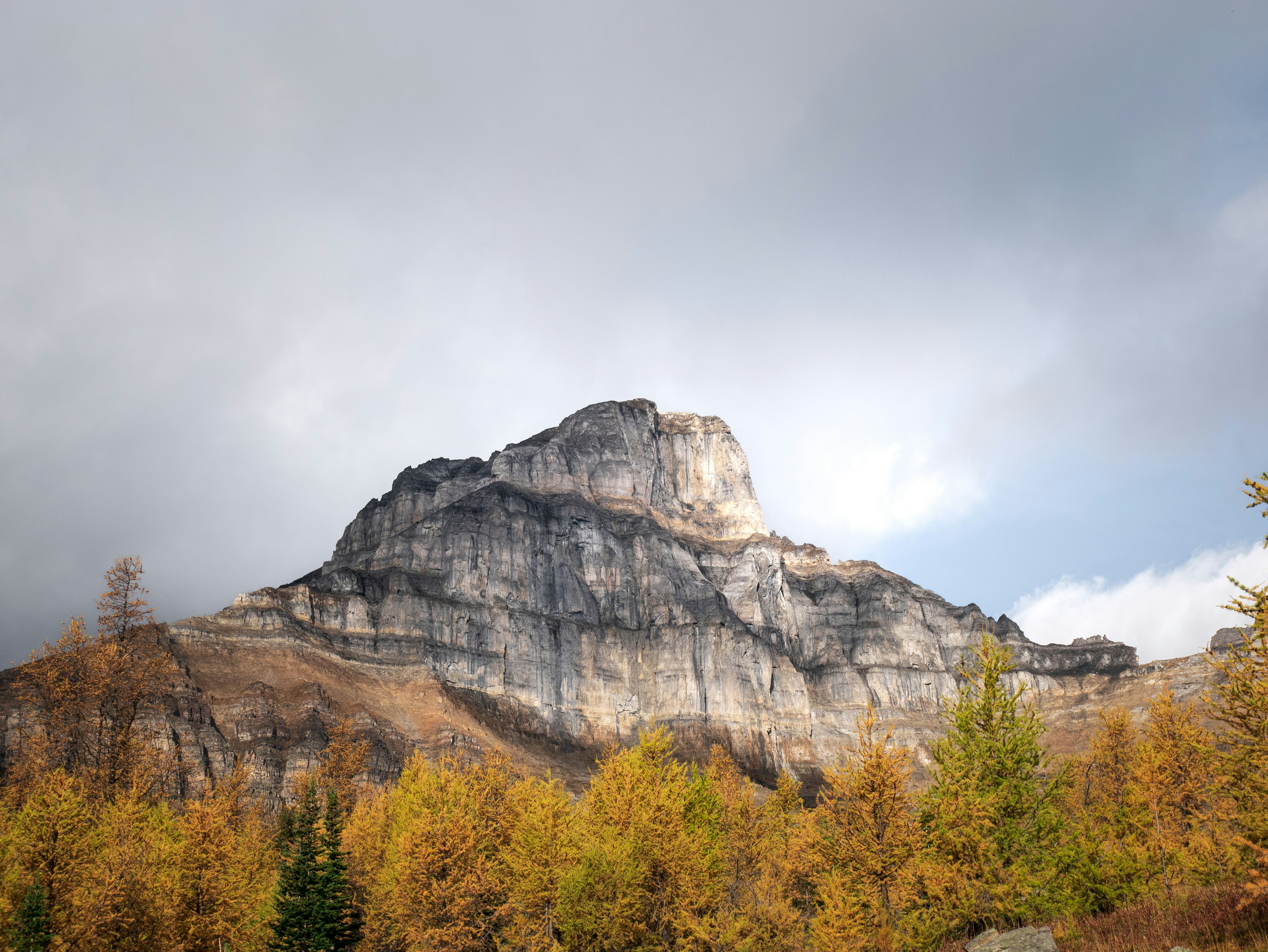 Autumn Crest: Mountain Tiers Beneath Autumn Pines
