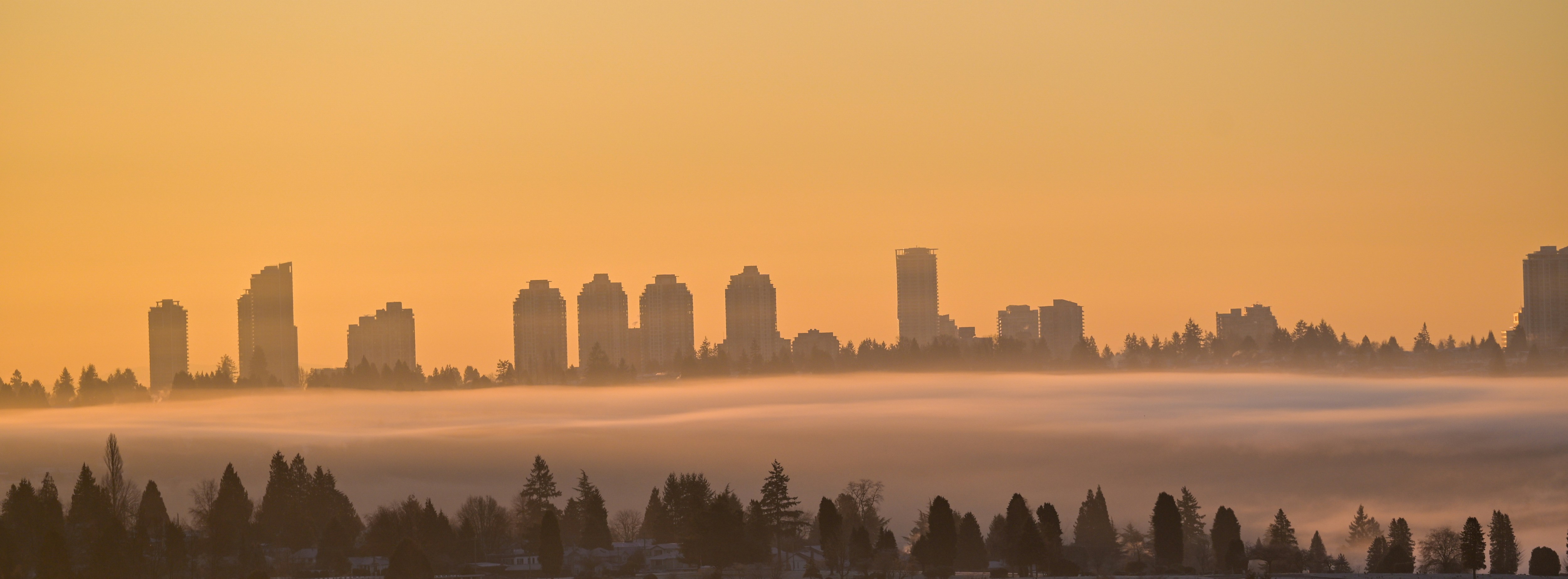 Dawn Silhouette: City Skyline Emerges Through Mist